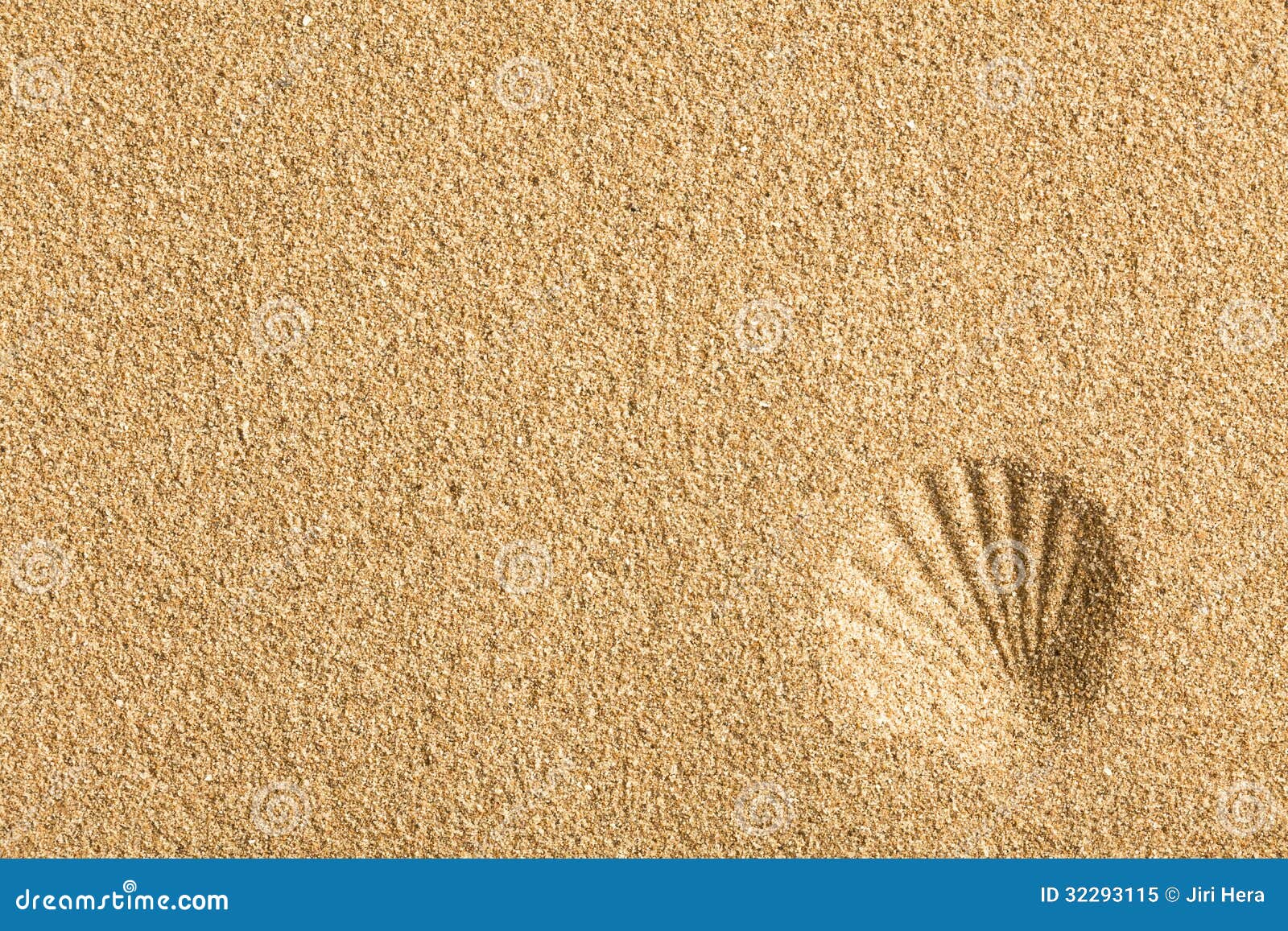 Shell Imprinted on the Sand Stock Image - Image of design, seashell ...