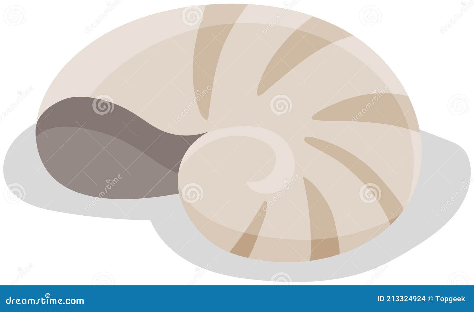 Chitin Structure Stock Image | CartoonDealer.com #84223951