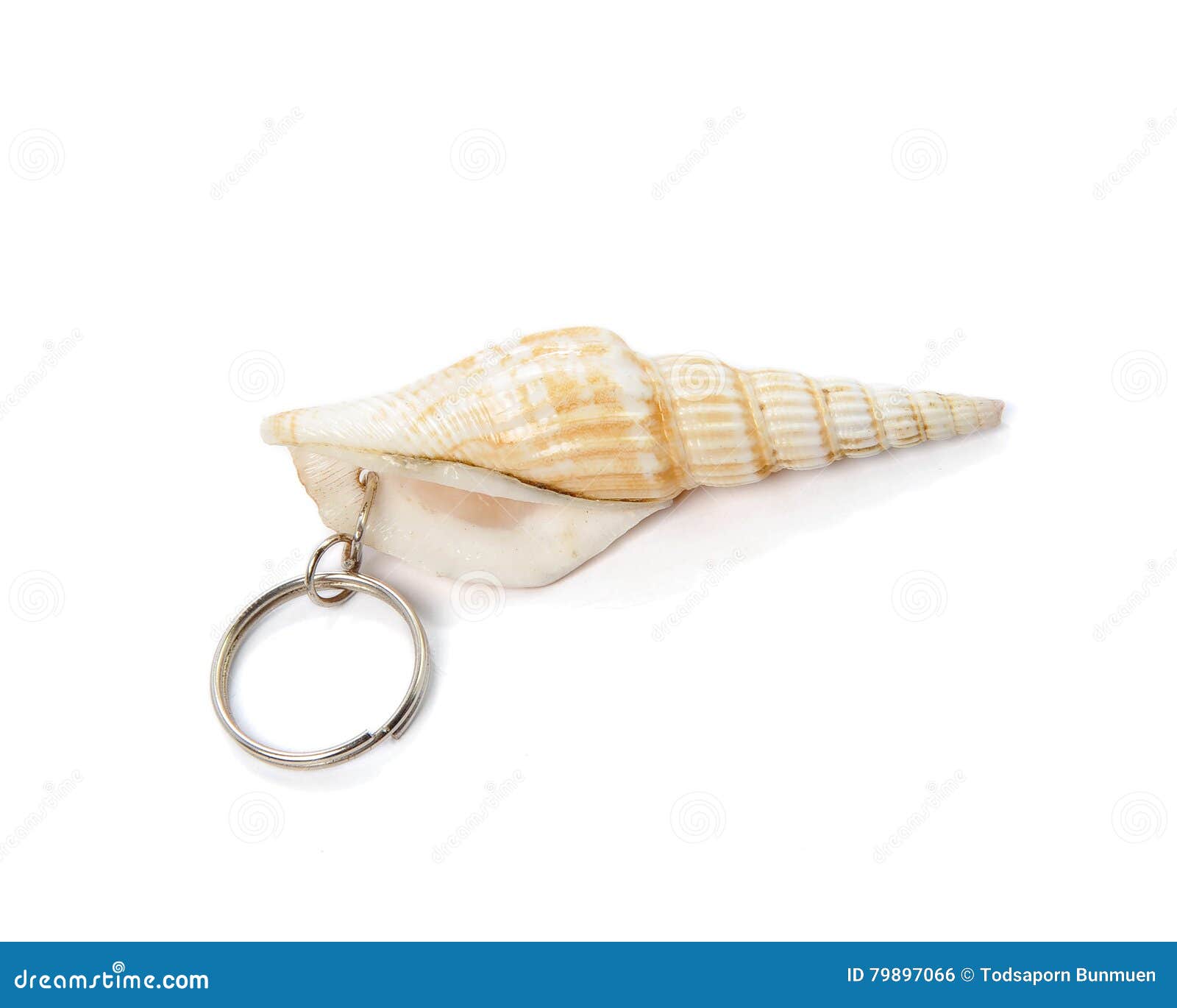 Shell Key Chain Isolated on White Background Stock Photo - Image of ...