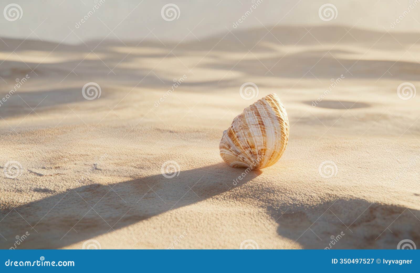 A Shell is Laying on the Sand Stock Illustration - Illustration of ...