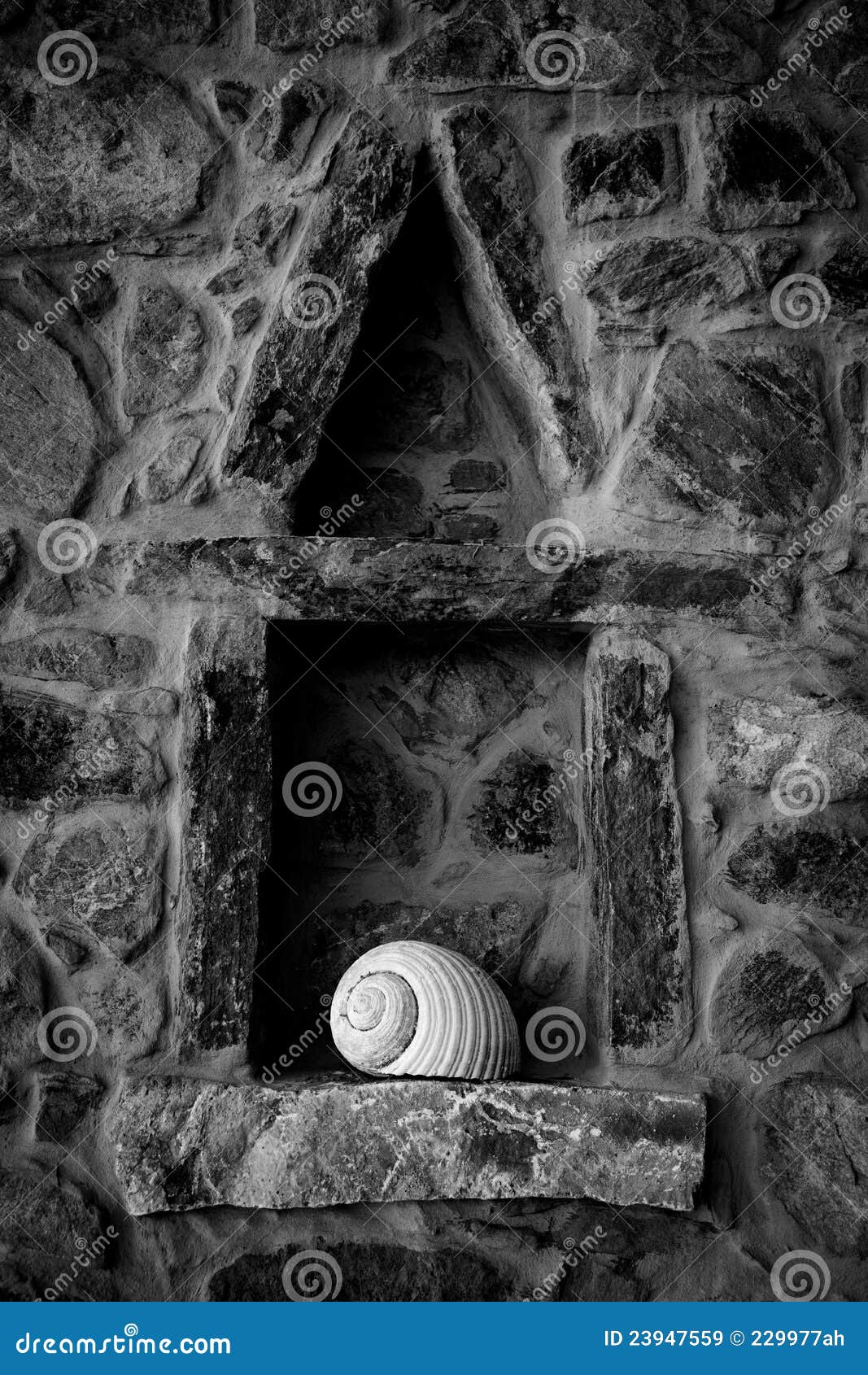 Shell on ledge stock image. Image of wall, recess, monochrome - 23947559