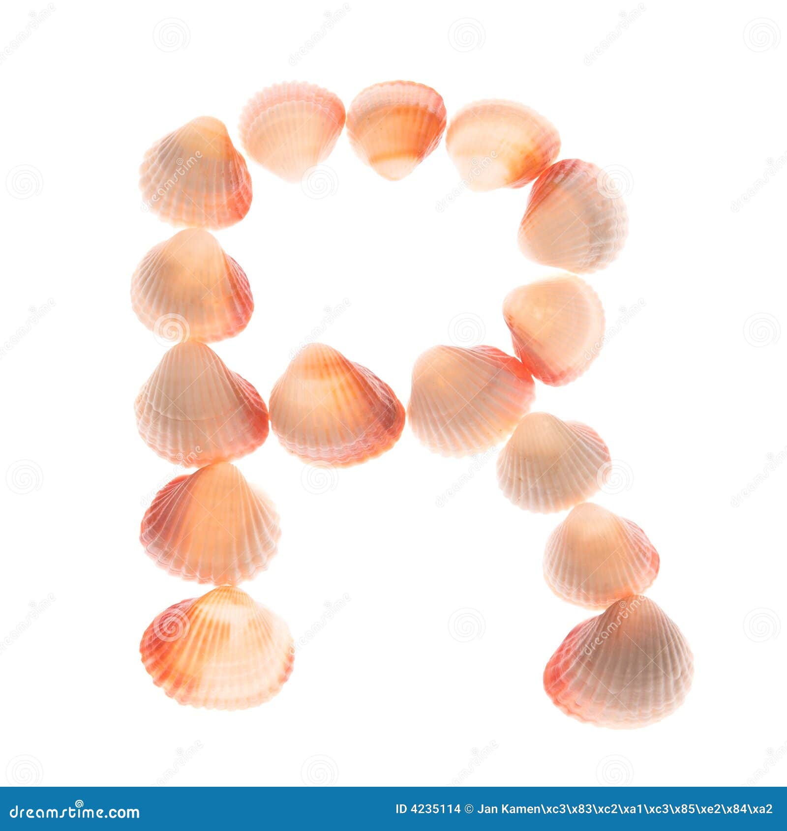 Shell Letra R Imagen. Imagen: 4235114