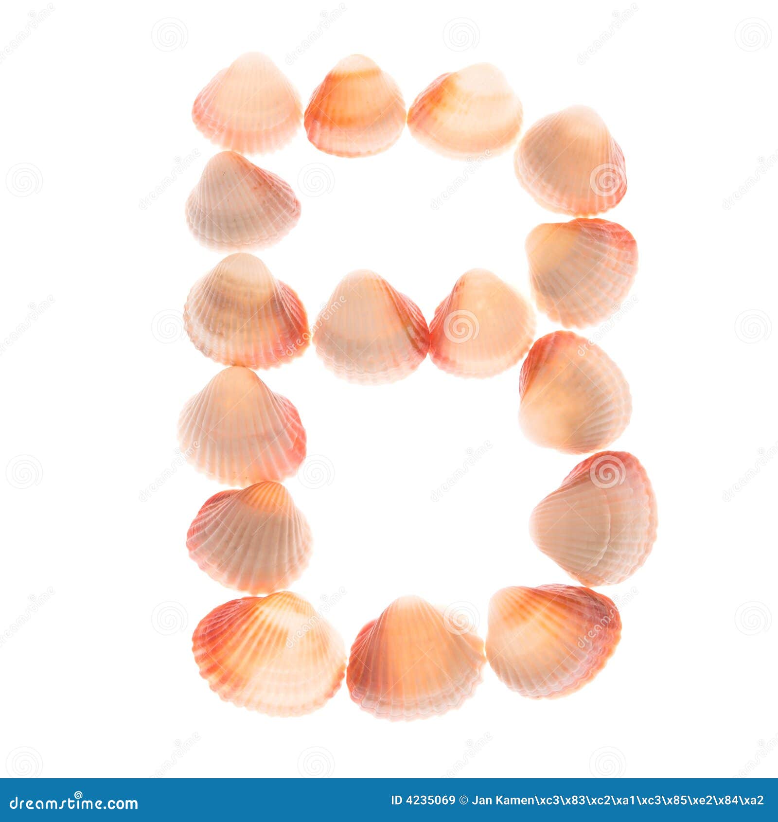 Shell Letter B Picture. Image: 4235069