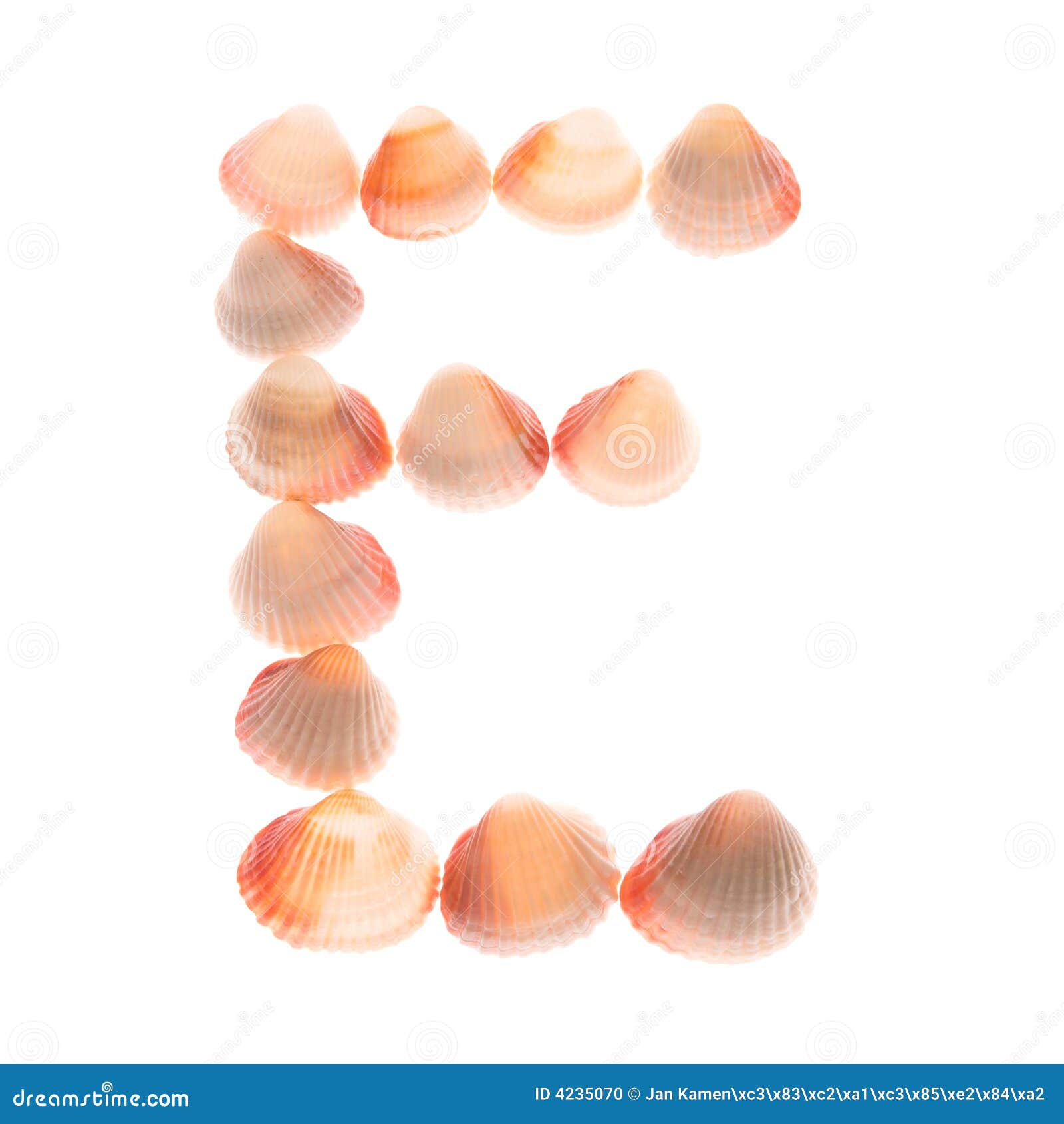 Shell Letter E Picture. Image: 4235070