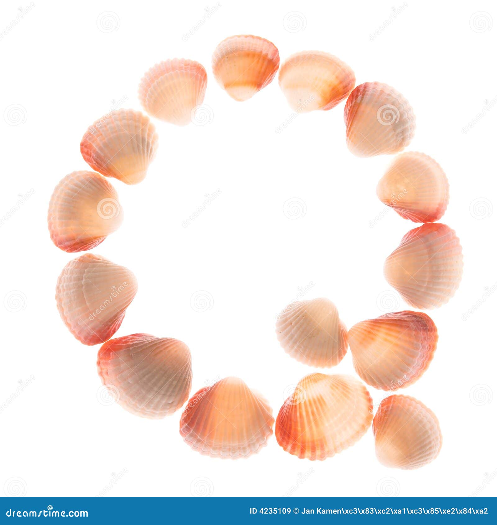 Shell letter Q stock image. Image of text, emblem, isolated - 4235109