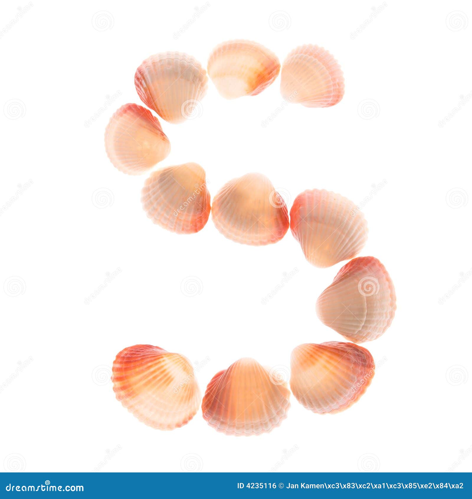 Shell letter S stock photo. Image of texture, alpha, scallop - 4235116