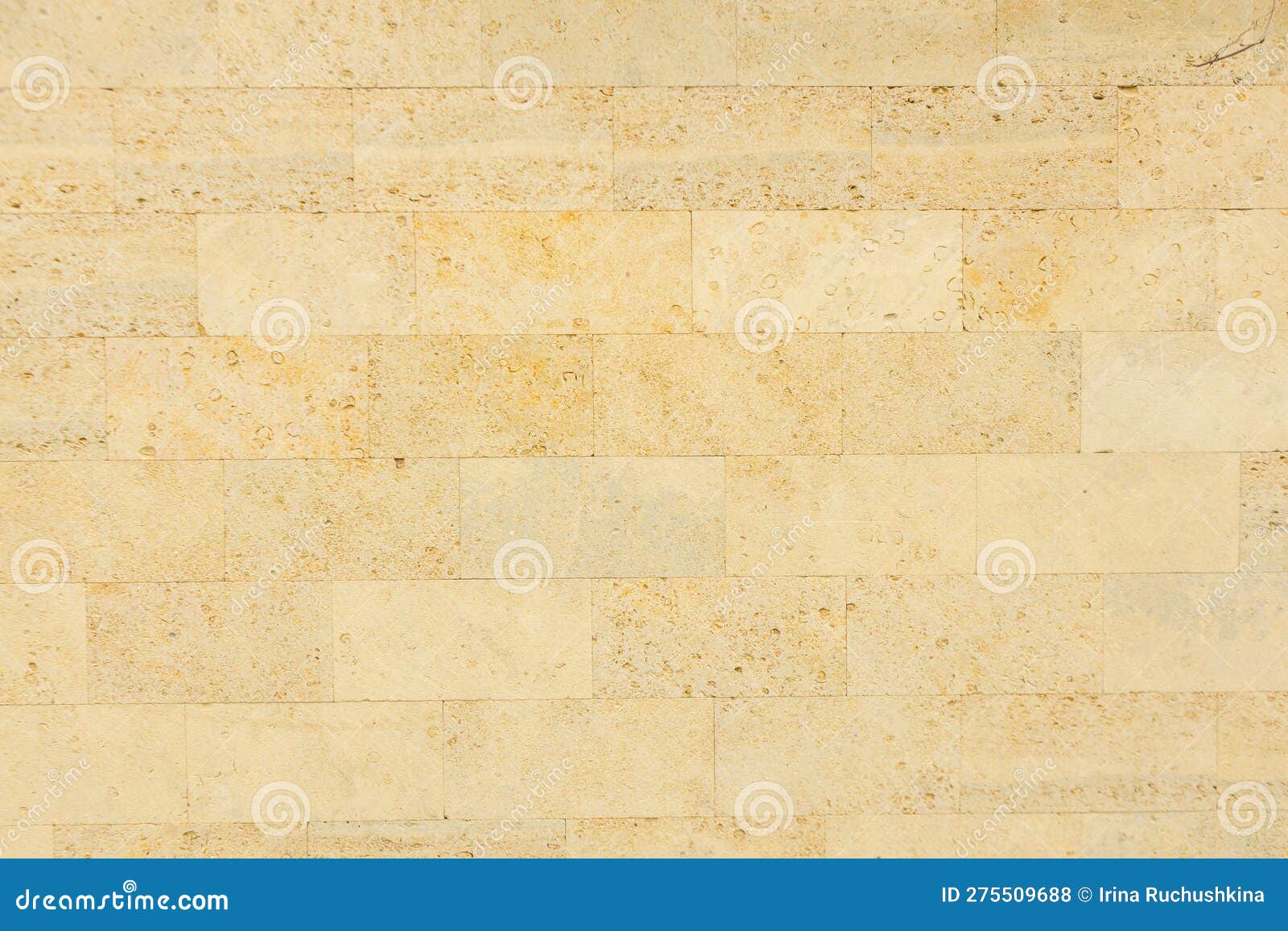 Shell Limestone Wall Texture Background Stock Photo - Image of stone ...