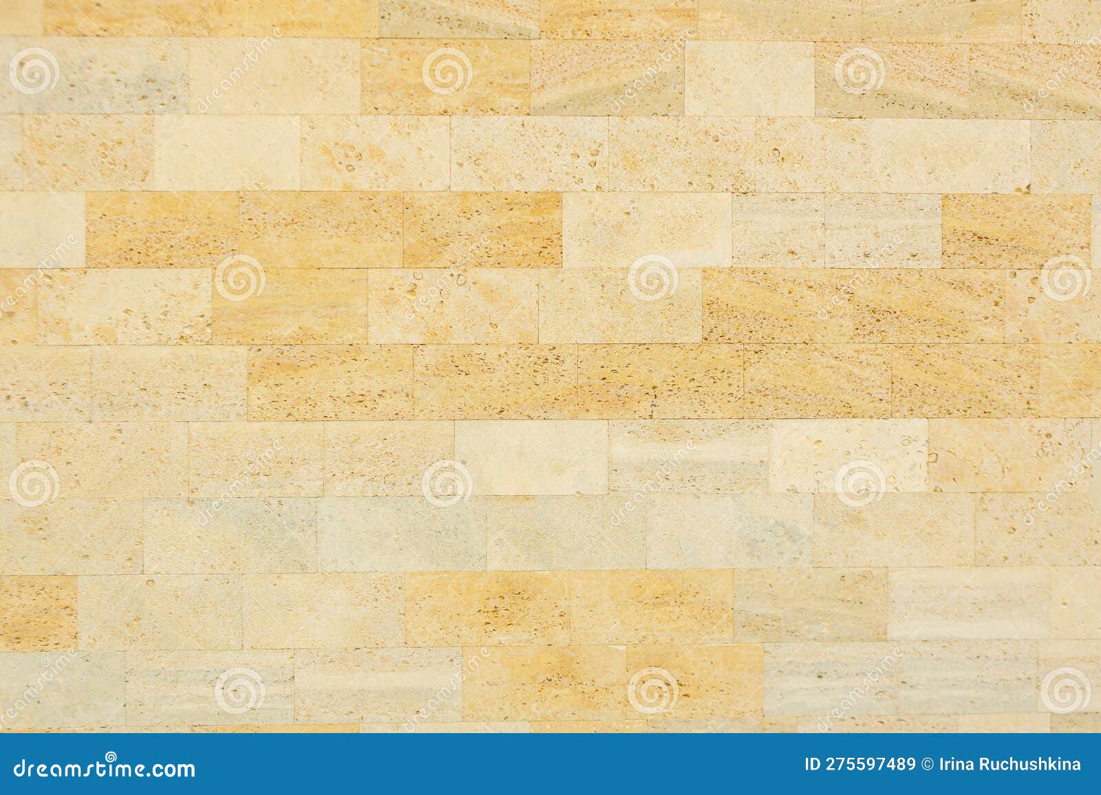 Shell Limestone Wall Texture Background Stock Image - Image of textured ...