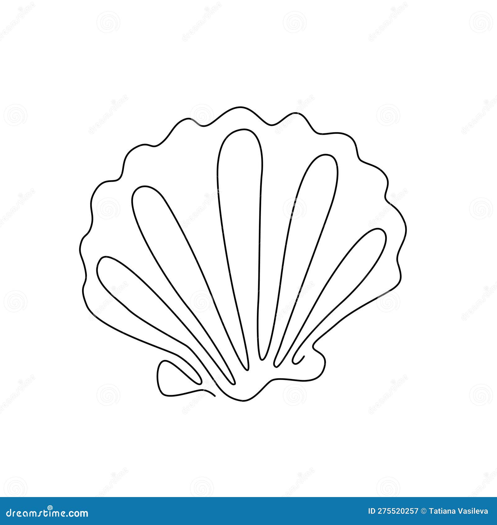 SHELL LINE ART. Vector Sea Shell. Continuous Line Drawing Vector ...