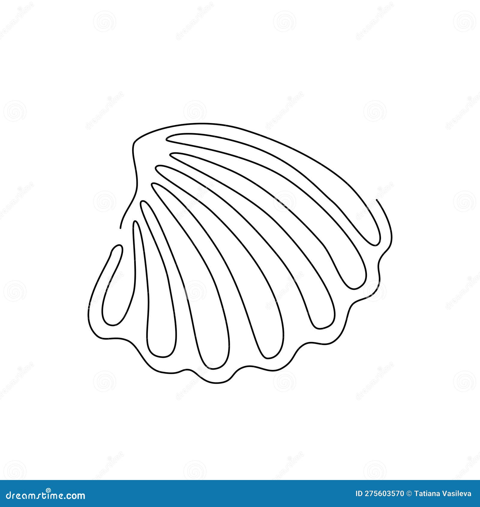 SHELL LINE ART. Vector Sea Shell. Continuous Line Drawing Vector ...