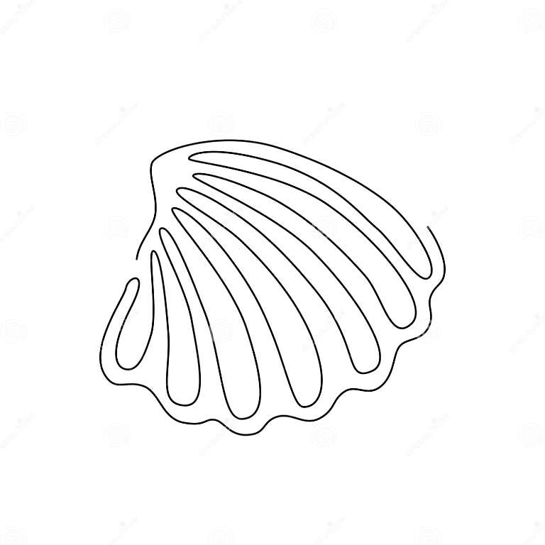 SHELL LINE ART. Vector Sea Shell. Continuous Line Drawing Vector ...