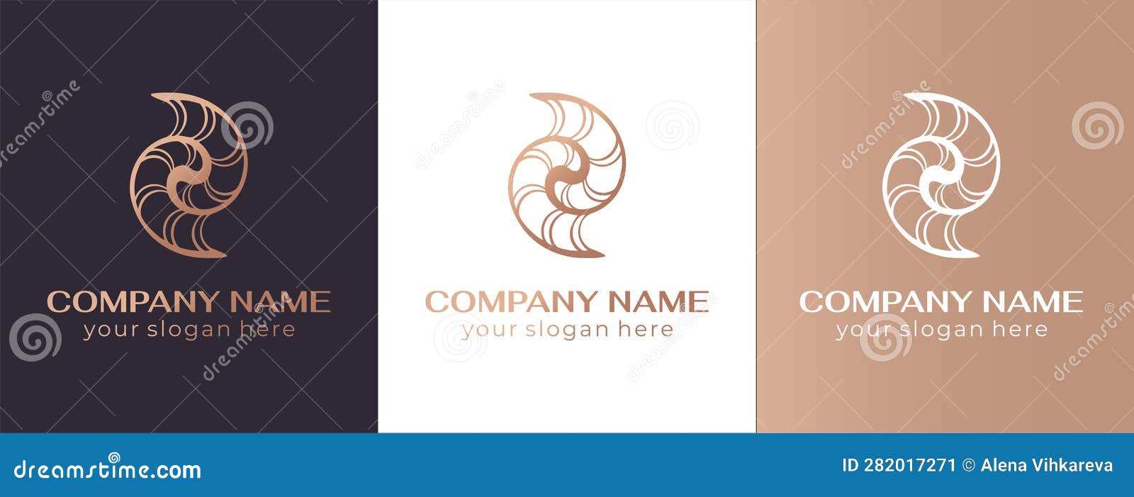 Shell Logo. Modern Seashell, Naulilus. Elegant Linear Logo. Template To ...