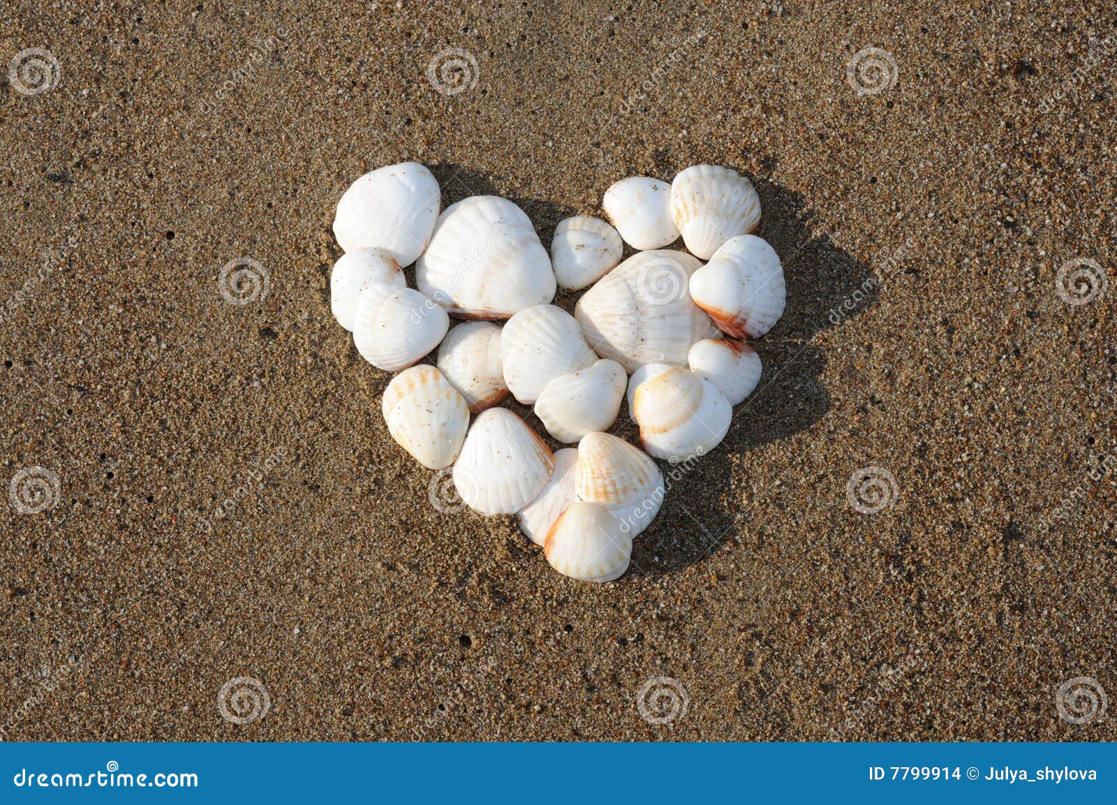 Shell Love Heart stock photo. Image of vacation, heart - 7799914