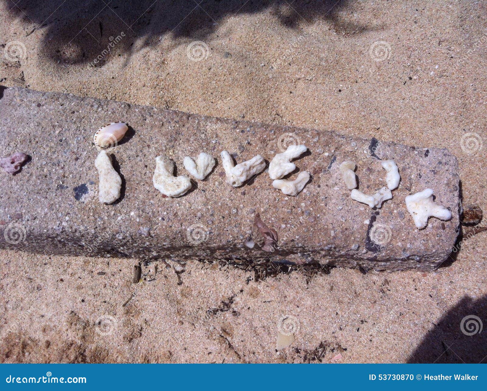 Shell love stock photo. Image of coral, beach, written - 53730870
