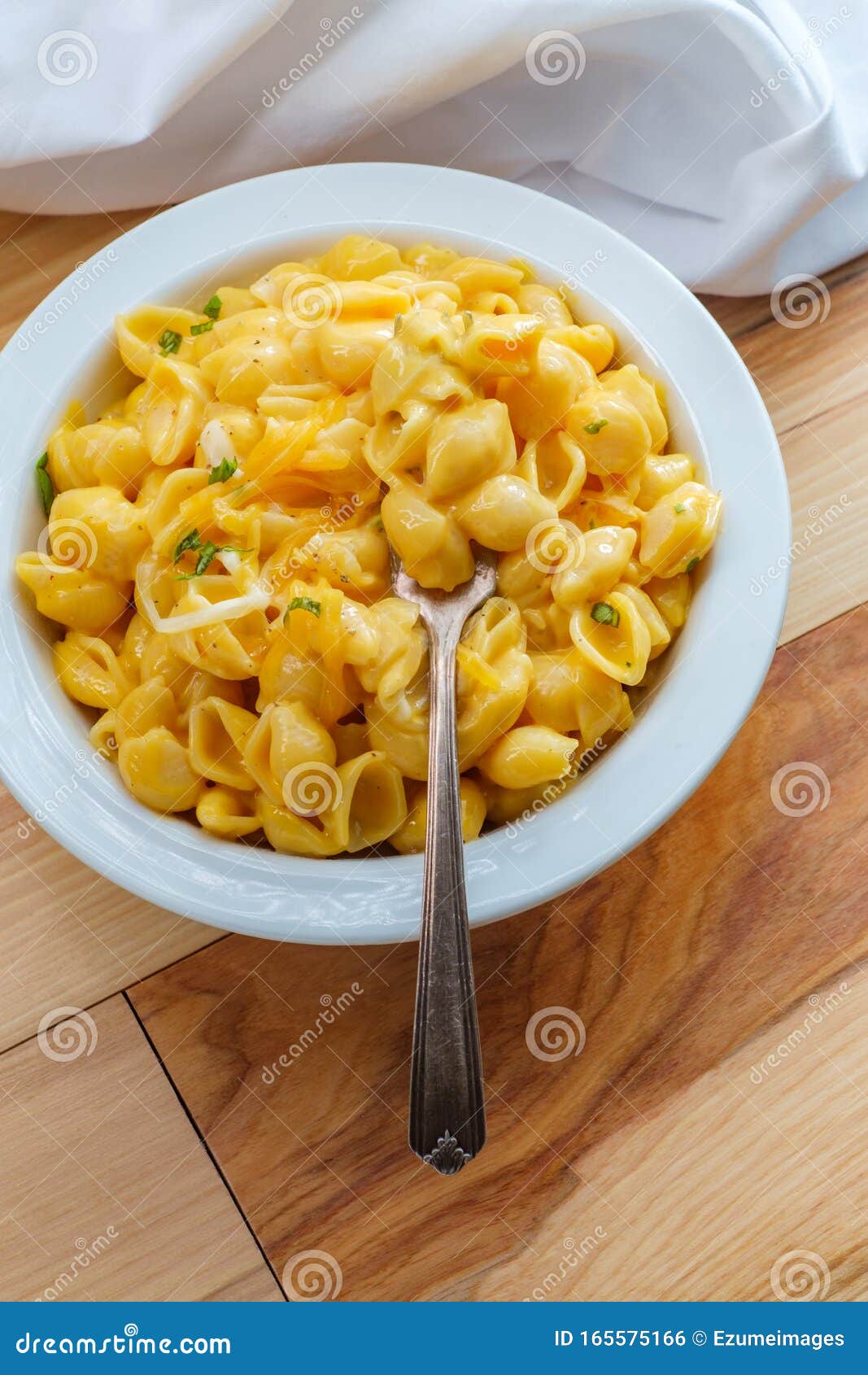 Shell Mac N Cheese stock photo. Image of shell, pasta - 165575166