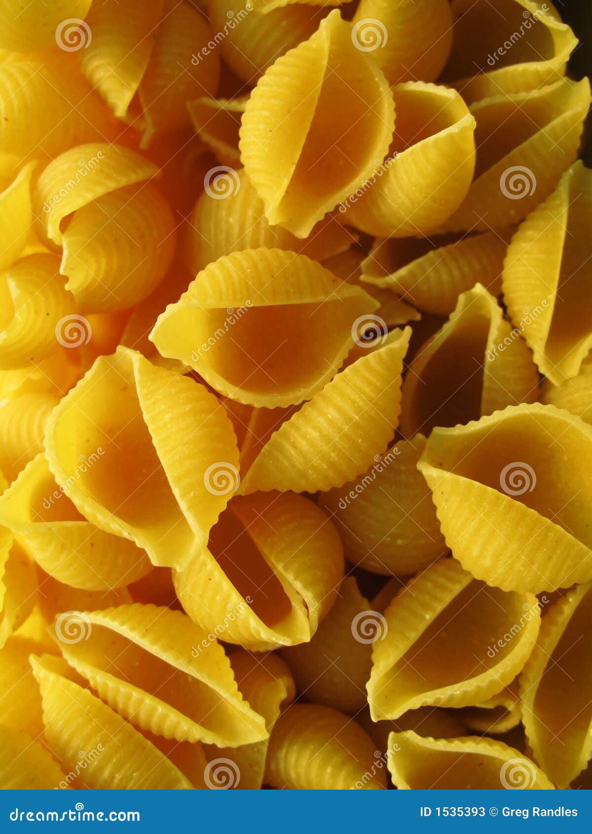 Shell Macaroni stock image. Image of pasta, macaroni, noodles - 1535393