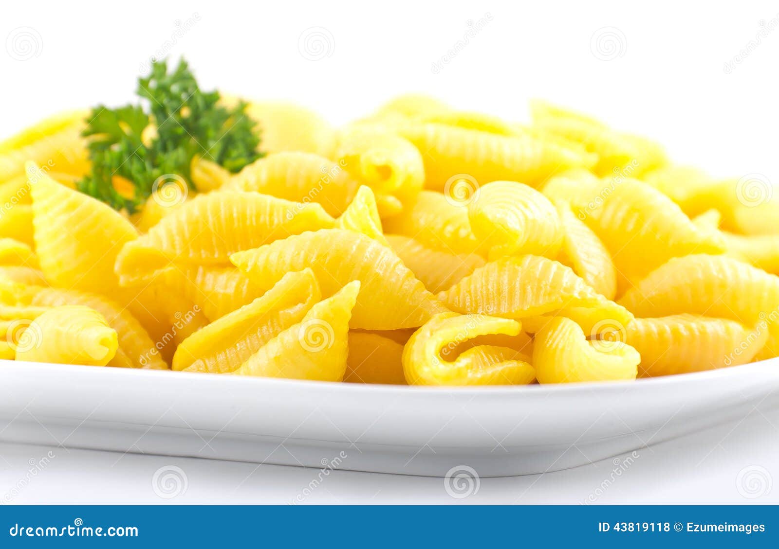 Shell Macaroni and Cheese stock photo. Image of cuisine - 43819118
