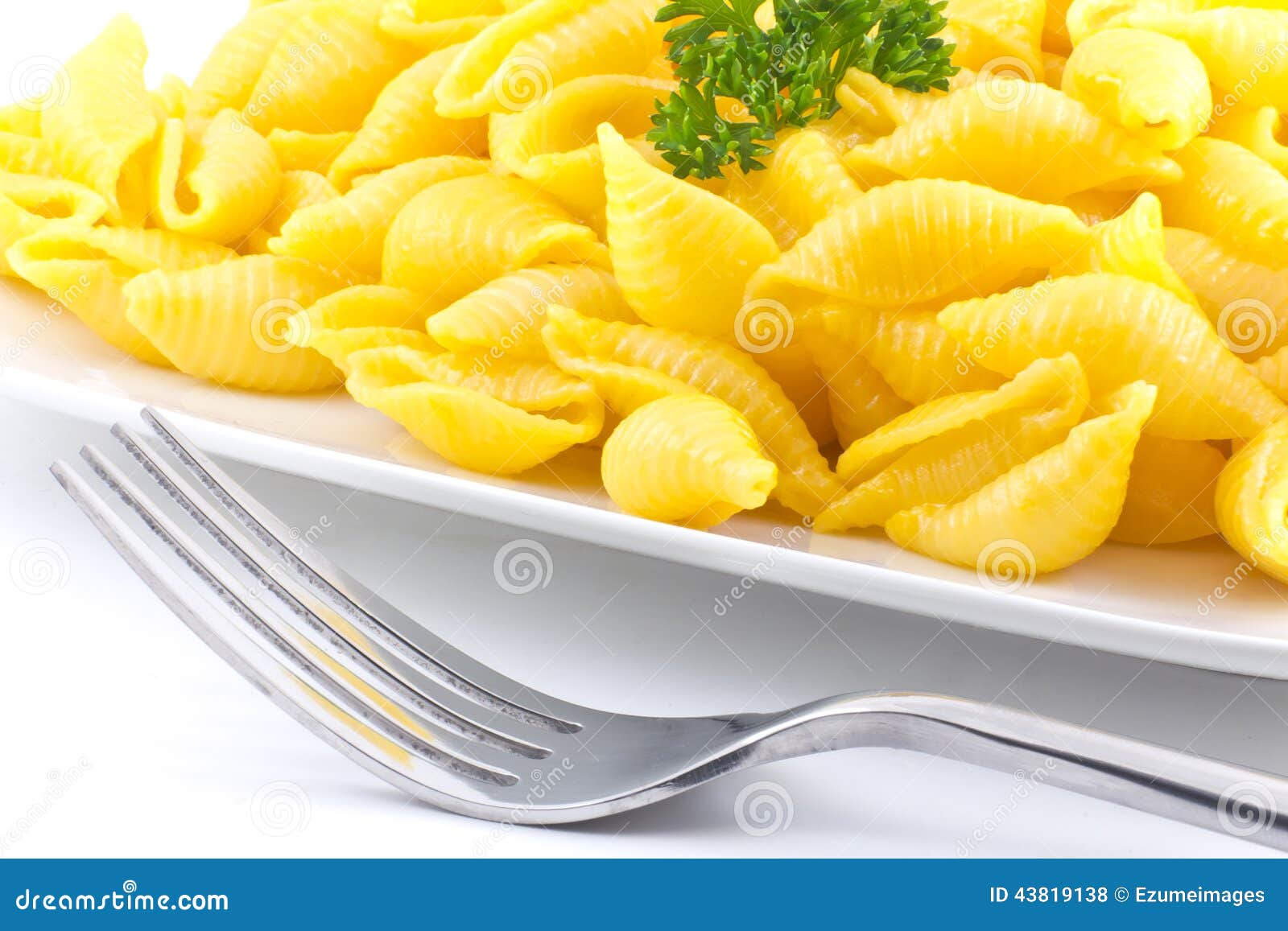 Shell Macaroni and Cheese stock photo. Image of healthy - 43819138