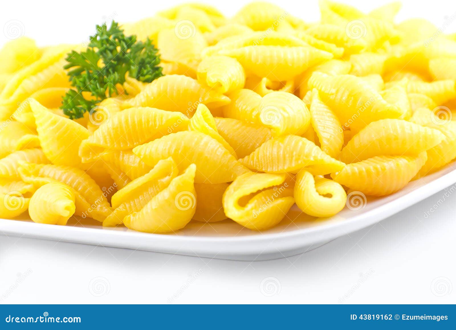 Shell Macaroni and Cheese stock photo. Image of ingredient - 43819162