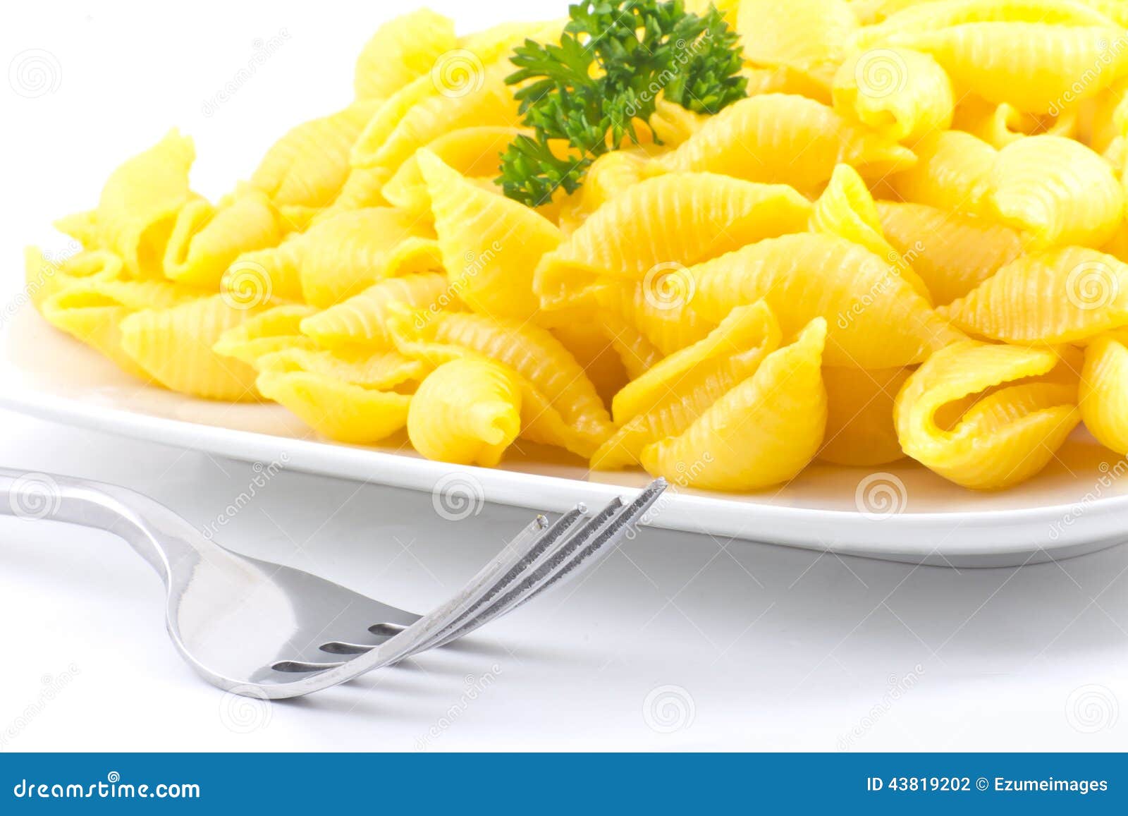 Shell Macaroni and Cheese stock photo. Image of gourmet - 43819202