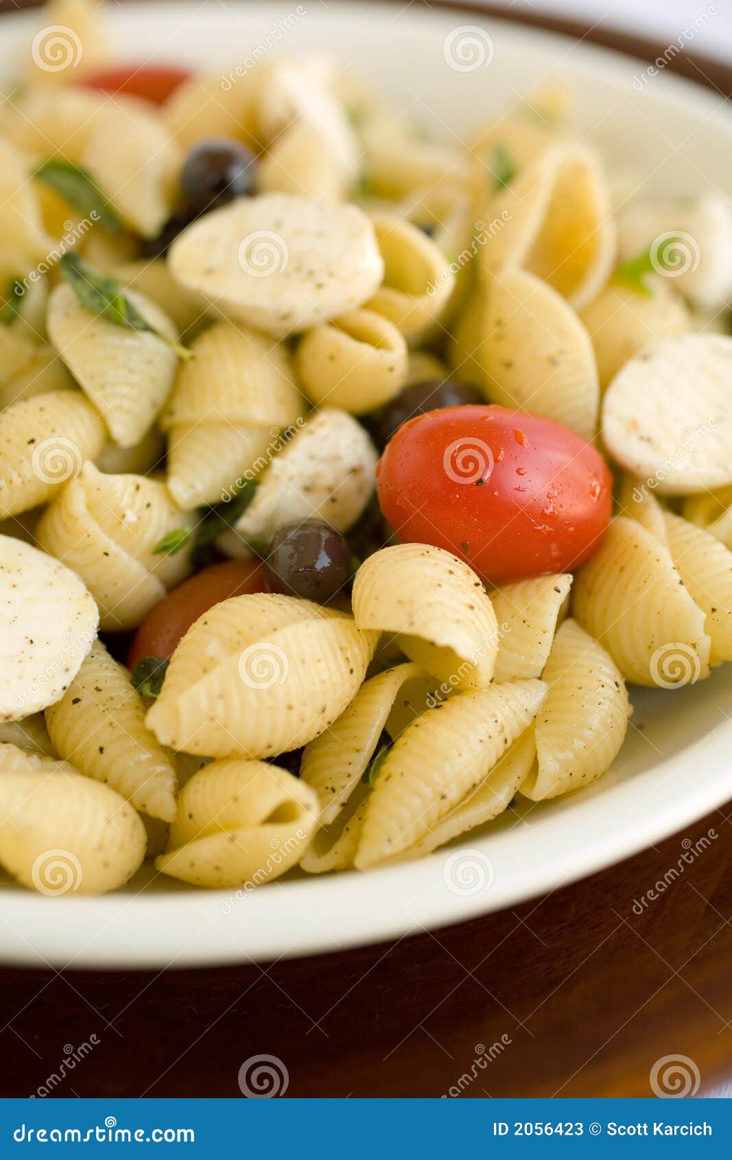 Shell Macaroni and Chesse with Tomato Stock Image - Image of salad ...