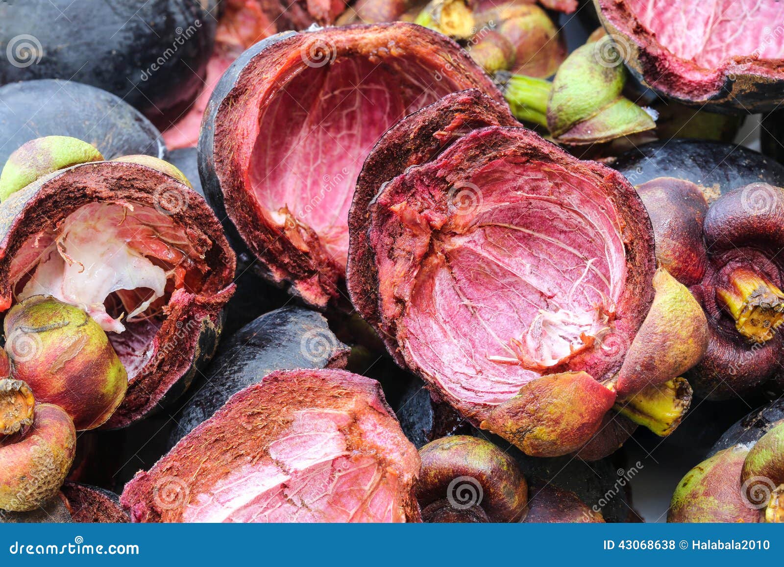 Shell mangosteens stock photo. Image of asian, tasty - 43068638