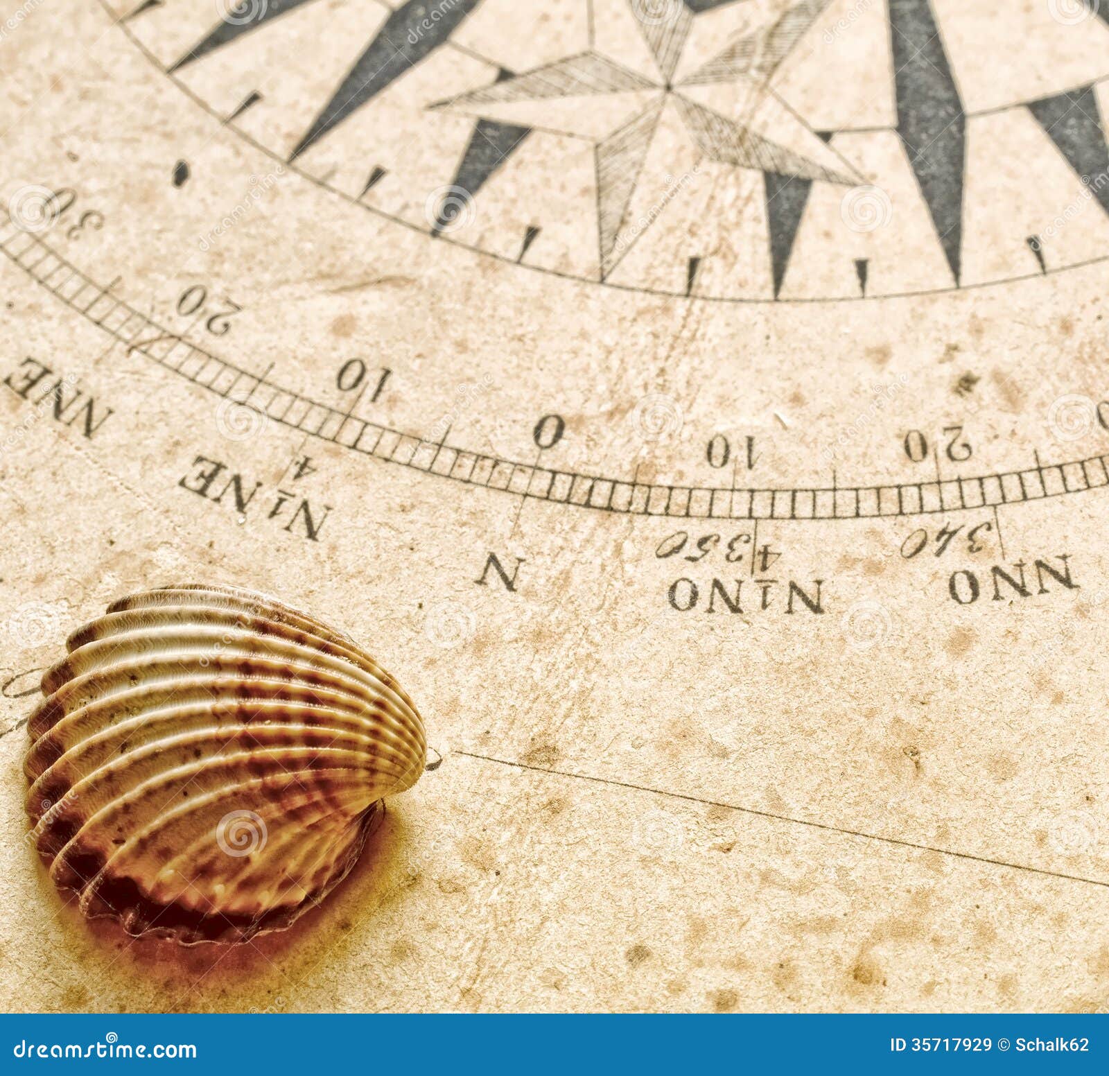 Shell on map stock image. Image of paper, marine, nautical - 35717929