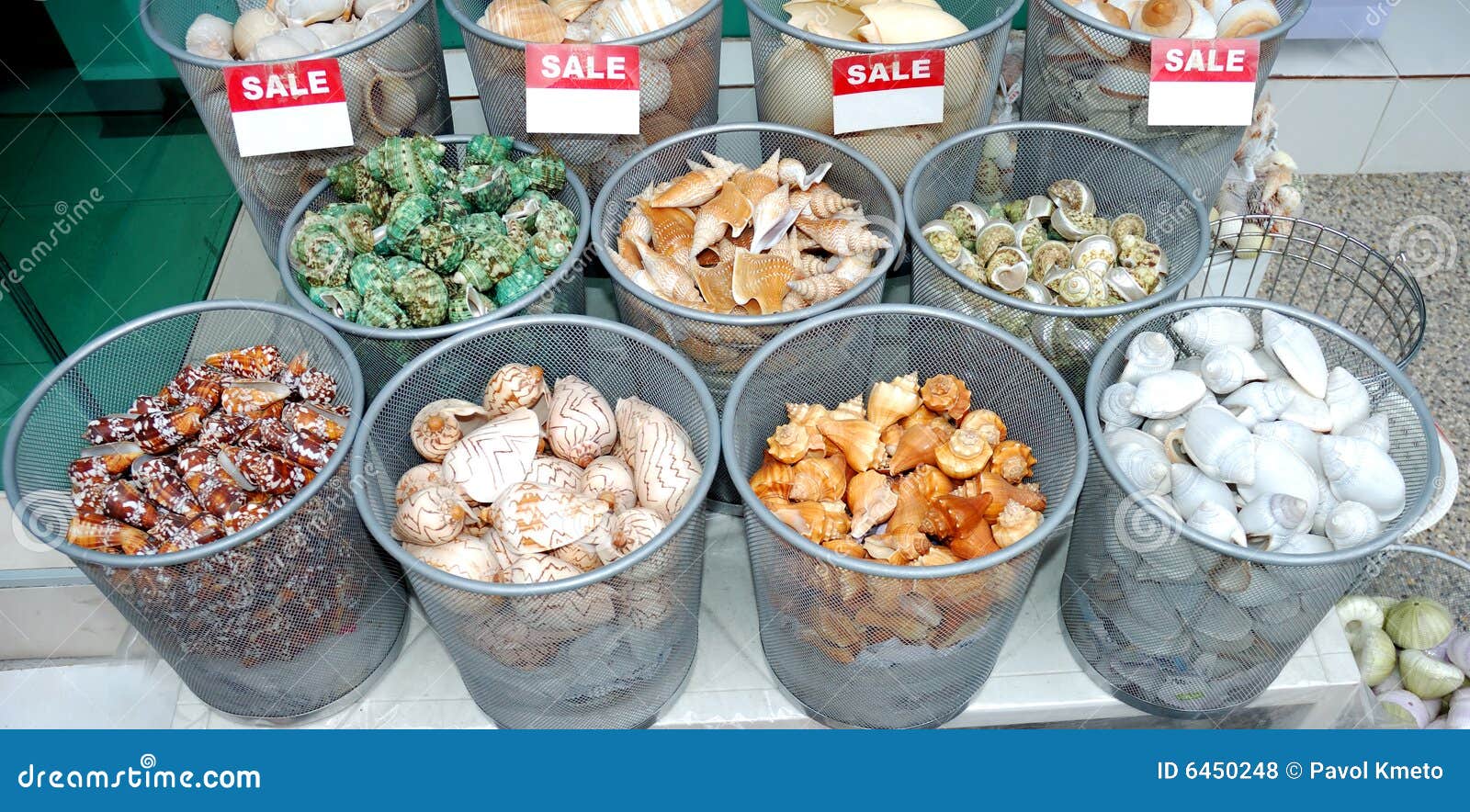 Shell In A Market Picture. Image: 6450248
