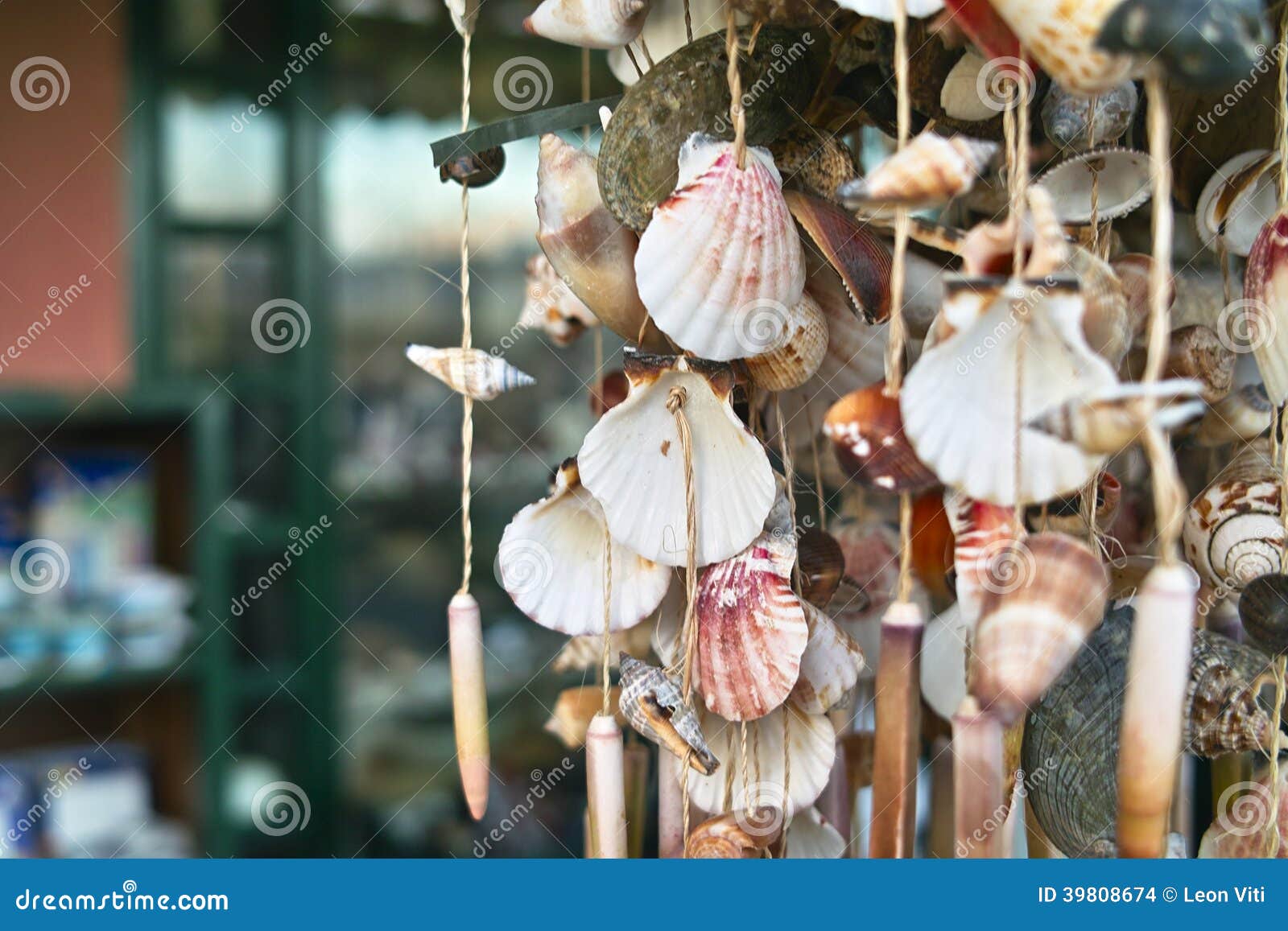 Shell at market stock photo. Image of urchin, sand, colorful - 39808674