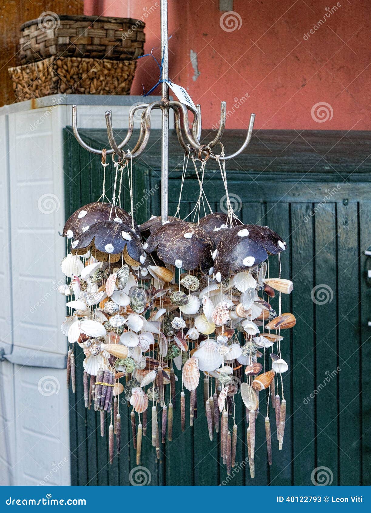 Shell at market stock image. Image of diversity, exotic - 40122793