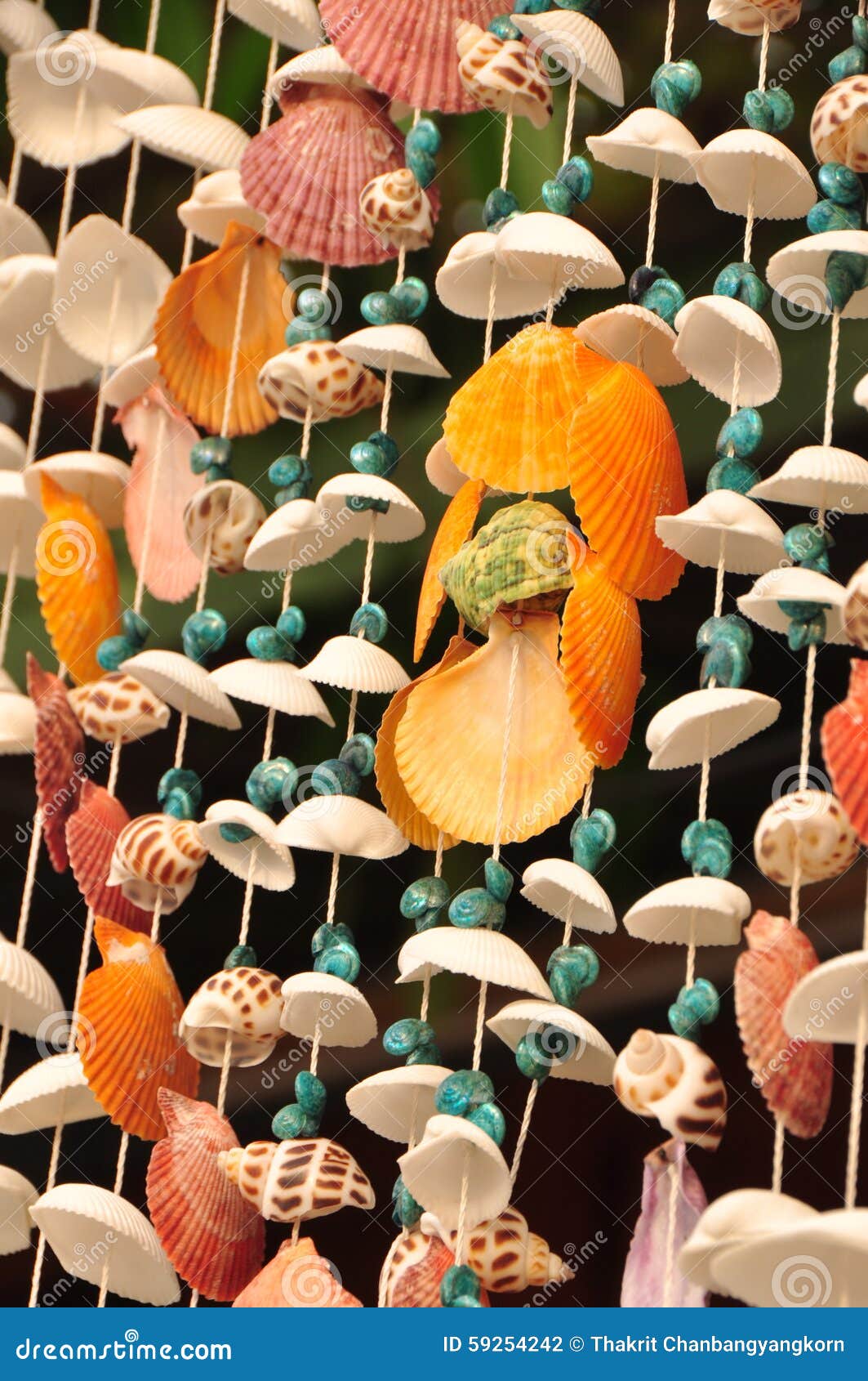 Shell Mobile stock photo. Image of decorative, shell - 59254242