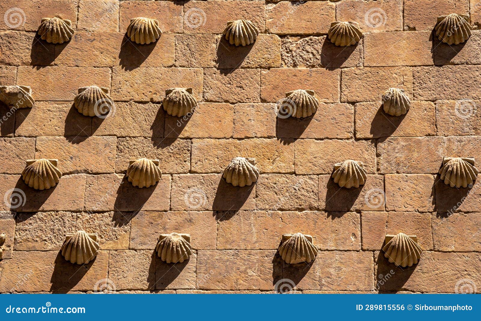 Shell Moldings Arranged in a Geometric Pattern on the Wall Projecting ...