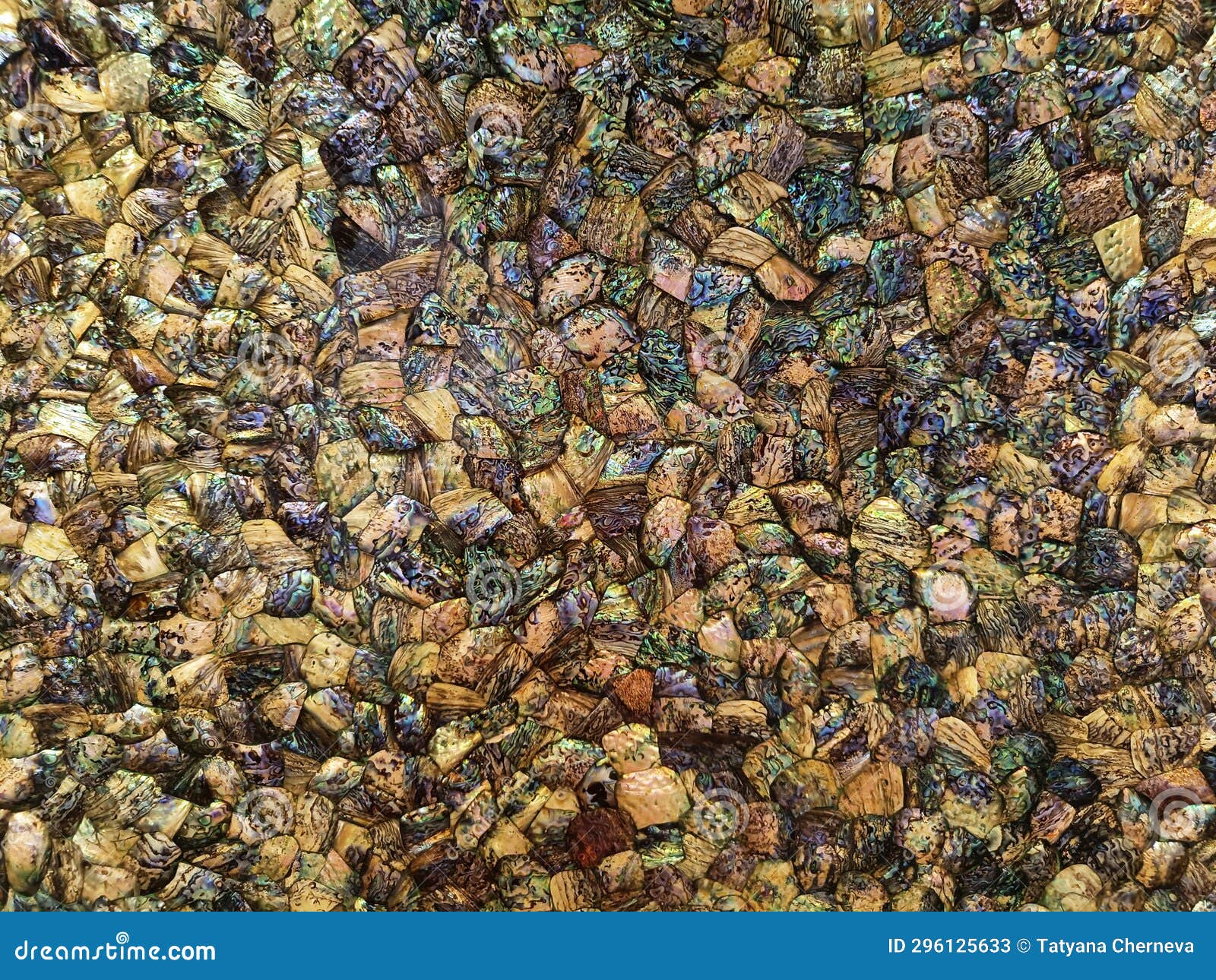 Shell, Mother of Pearl, Rock, Beach, Pebble, Stones, Pebbles Stock ...