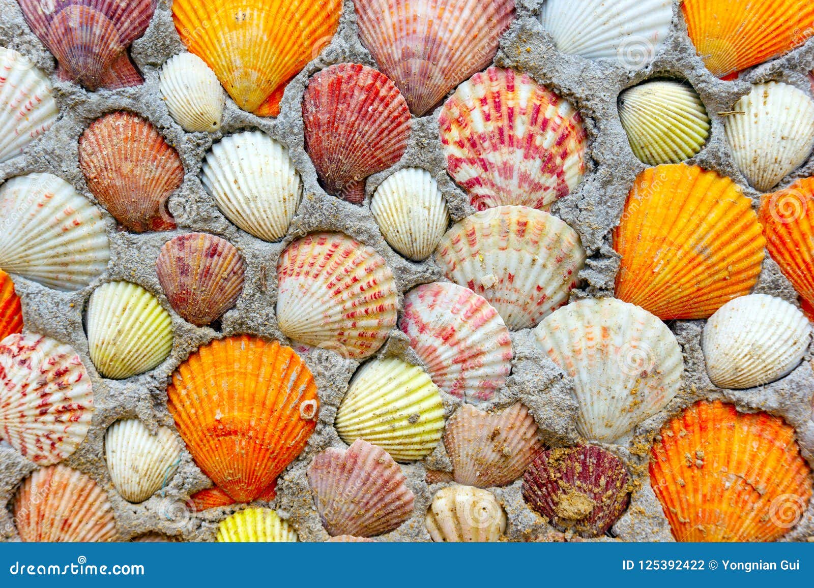 Shell Mura, Textura Do Fundo Foto de Stock - Imagem de vermelho ...