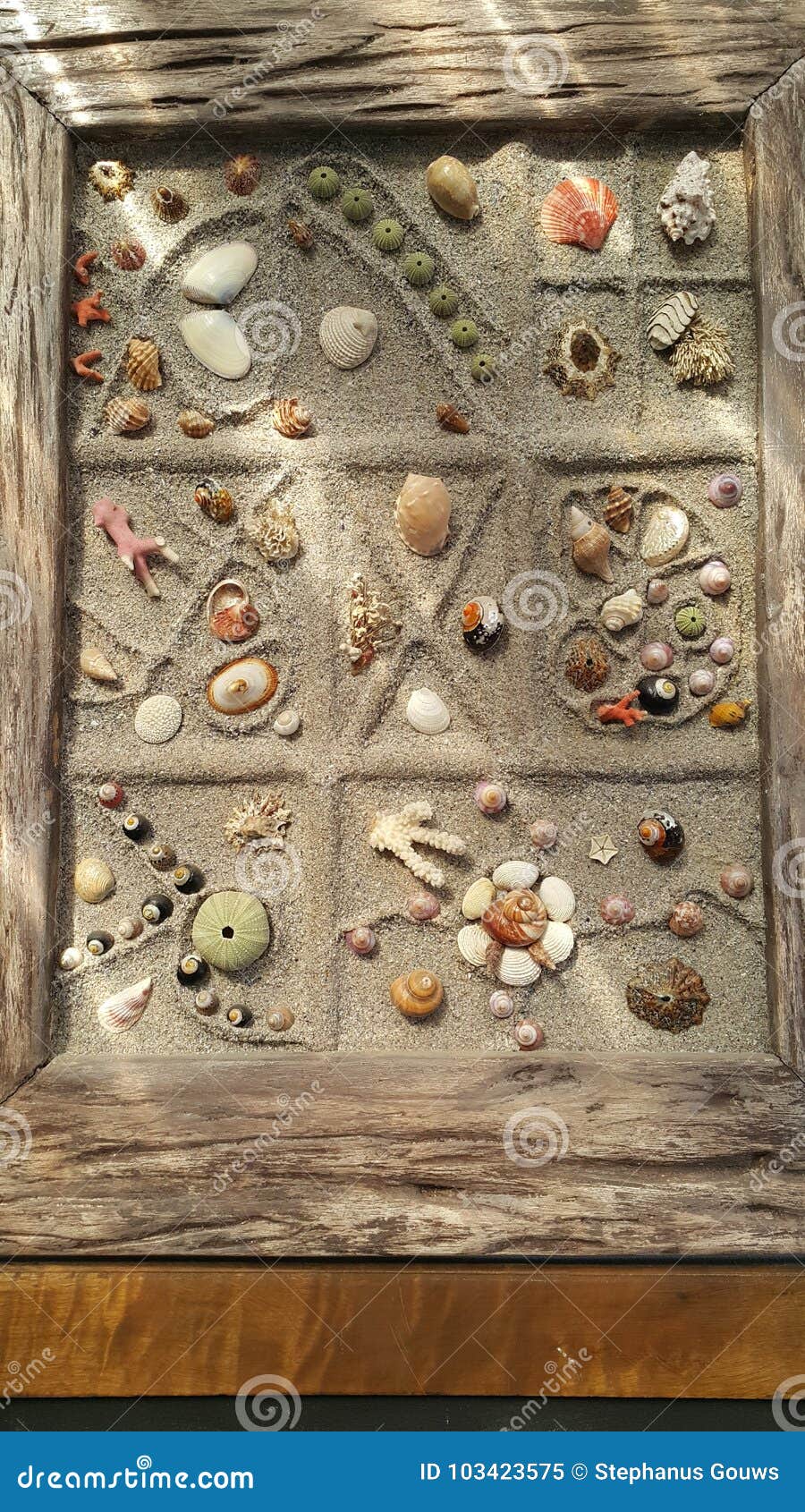 Sea Shell Art Murial stock image. Image of wood, painting - 103423575