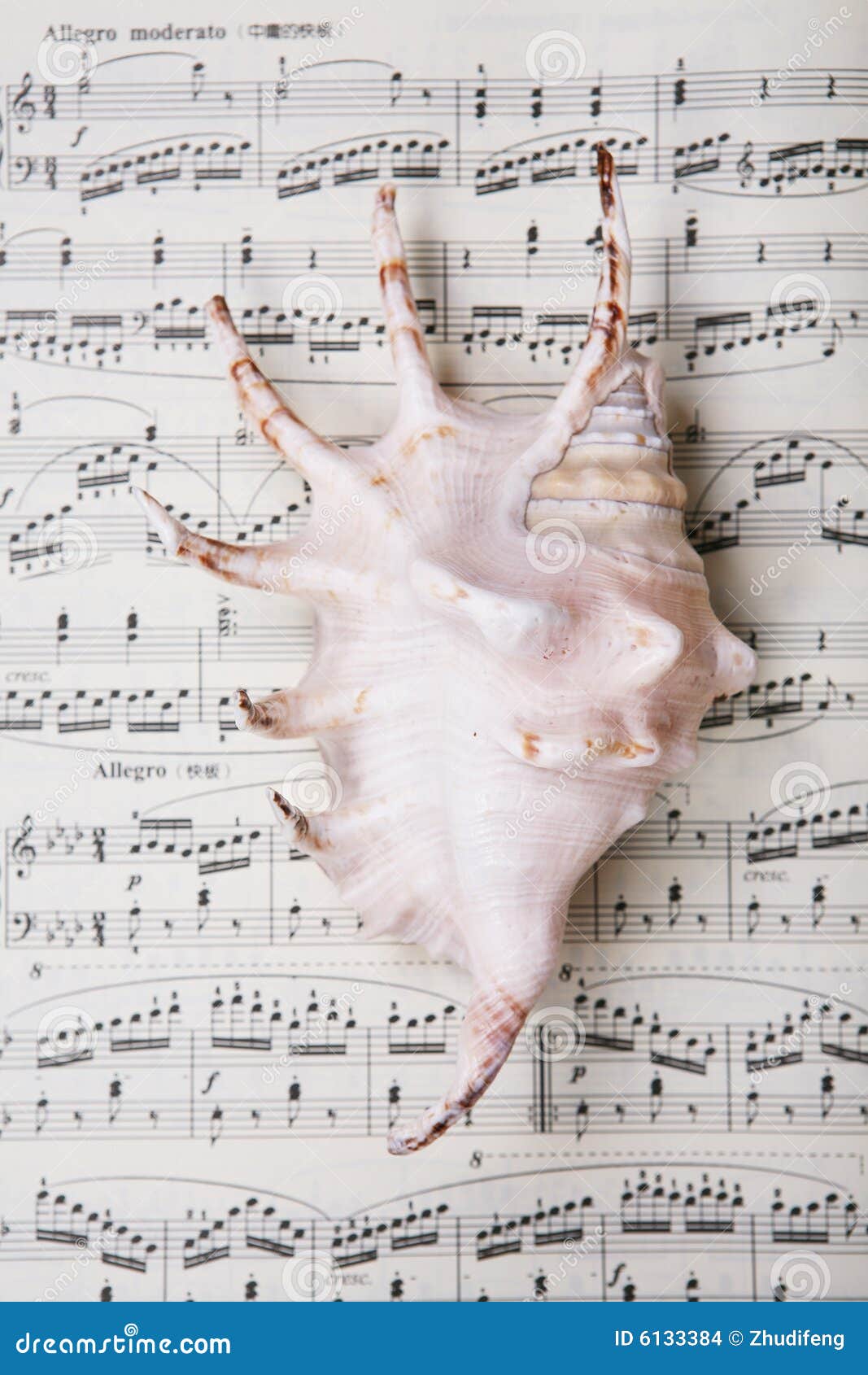 Shell On Music Music Score Book Picture. Image: 6133384