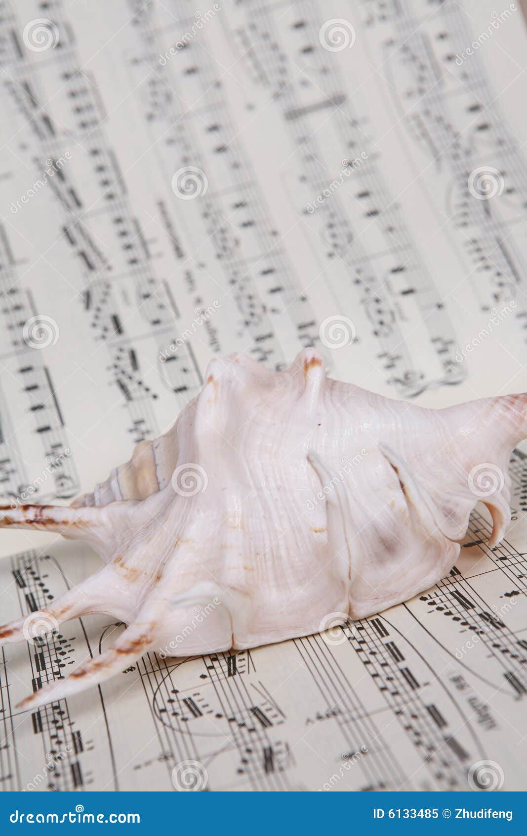 Shell on Music Music Score Book Stock Image - Image of beauty, musical ...