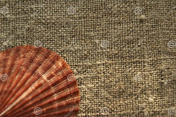 Shell on Natural Linen Fabric. Shell in the Corners of the Background ...