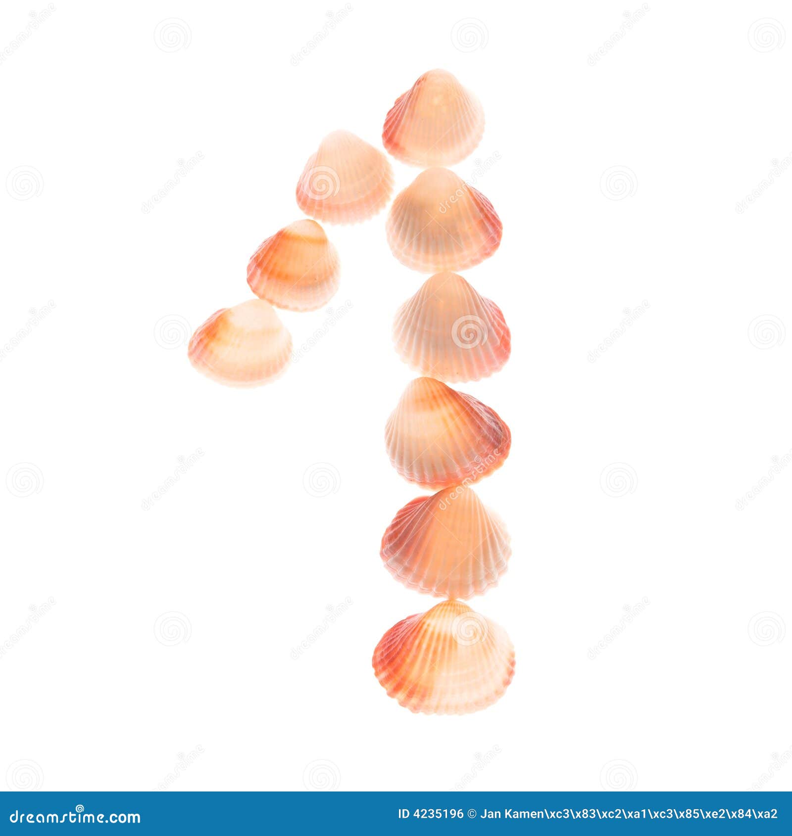 Shell Number 1 Picture. Image: 4235196