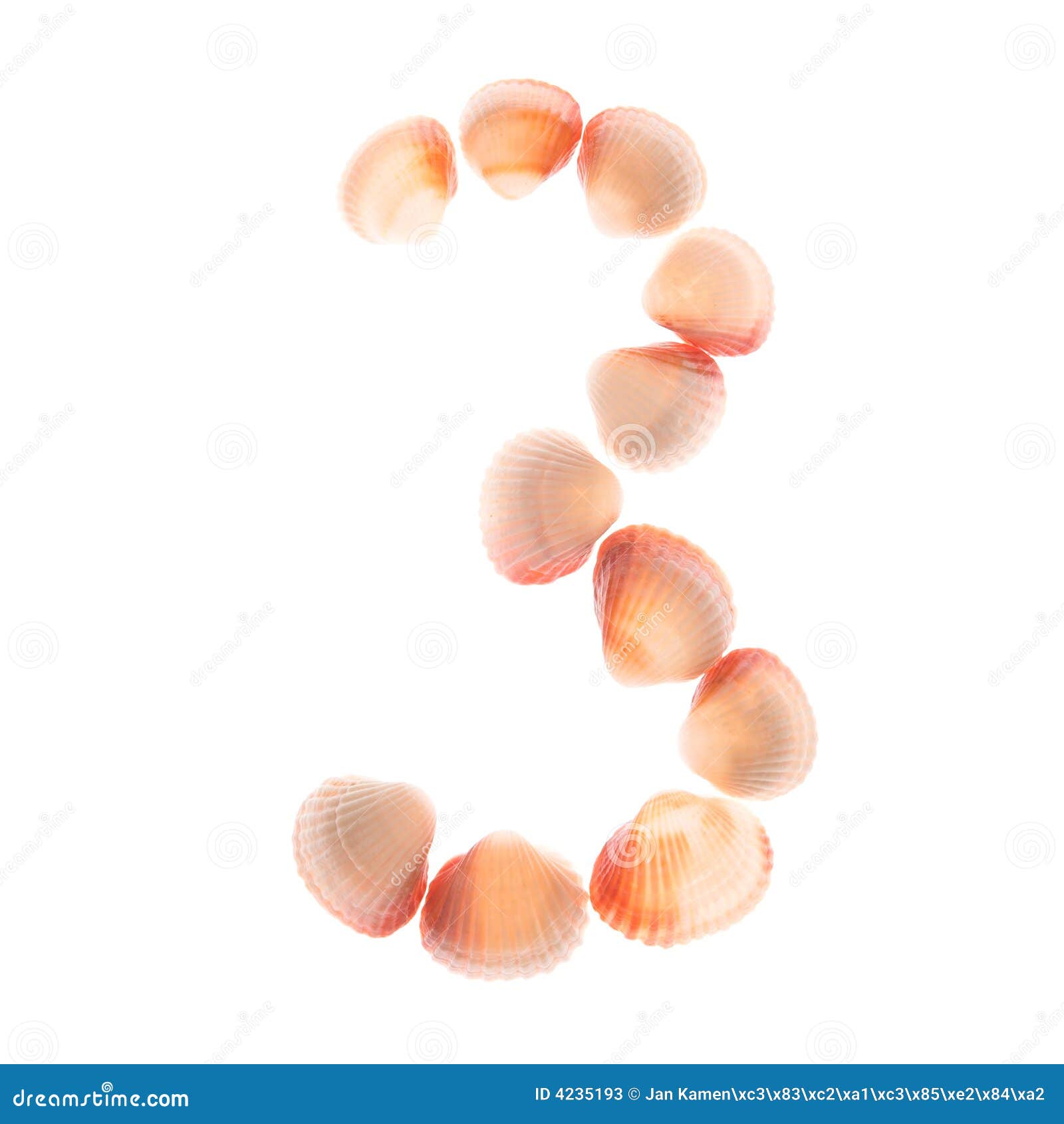 Shell number 3 stock image. Image of scallop, shell, emblem - 4235193
