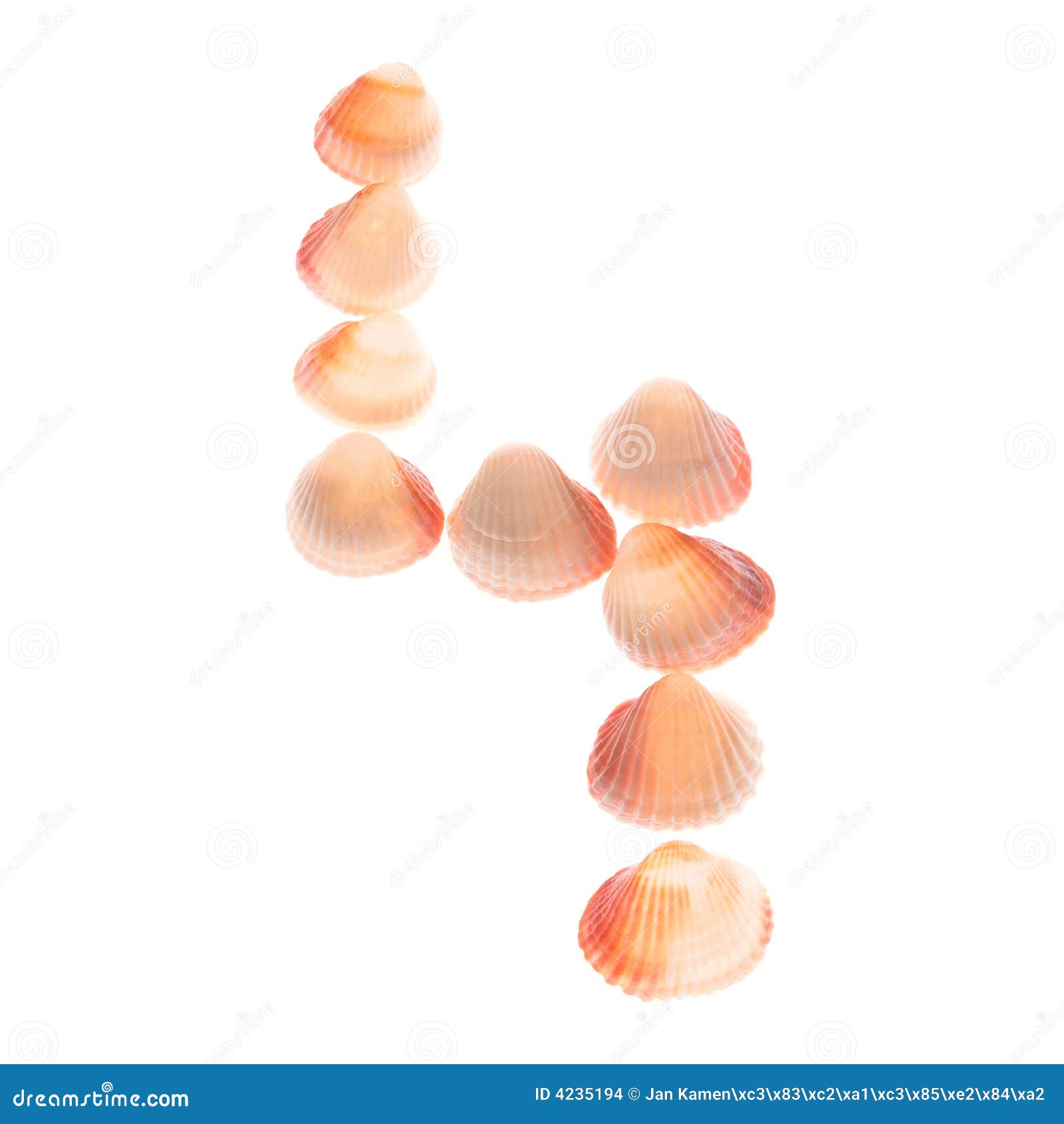 Shell Number 4 Picture. Image: 4235194