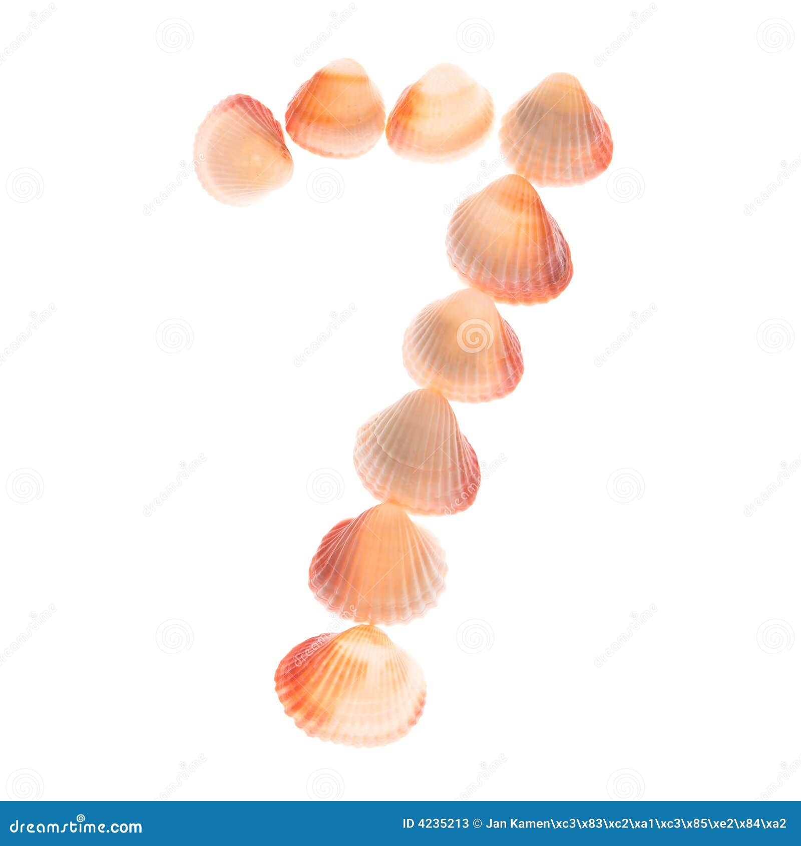 Shell Number 7 Picture. Image: 4235213