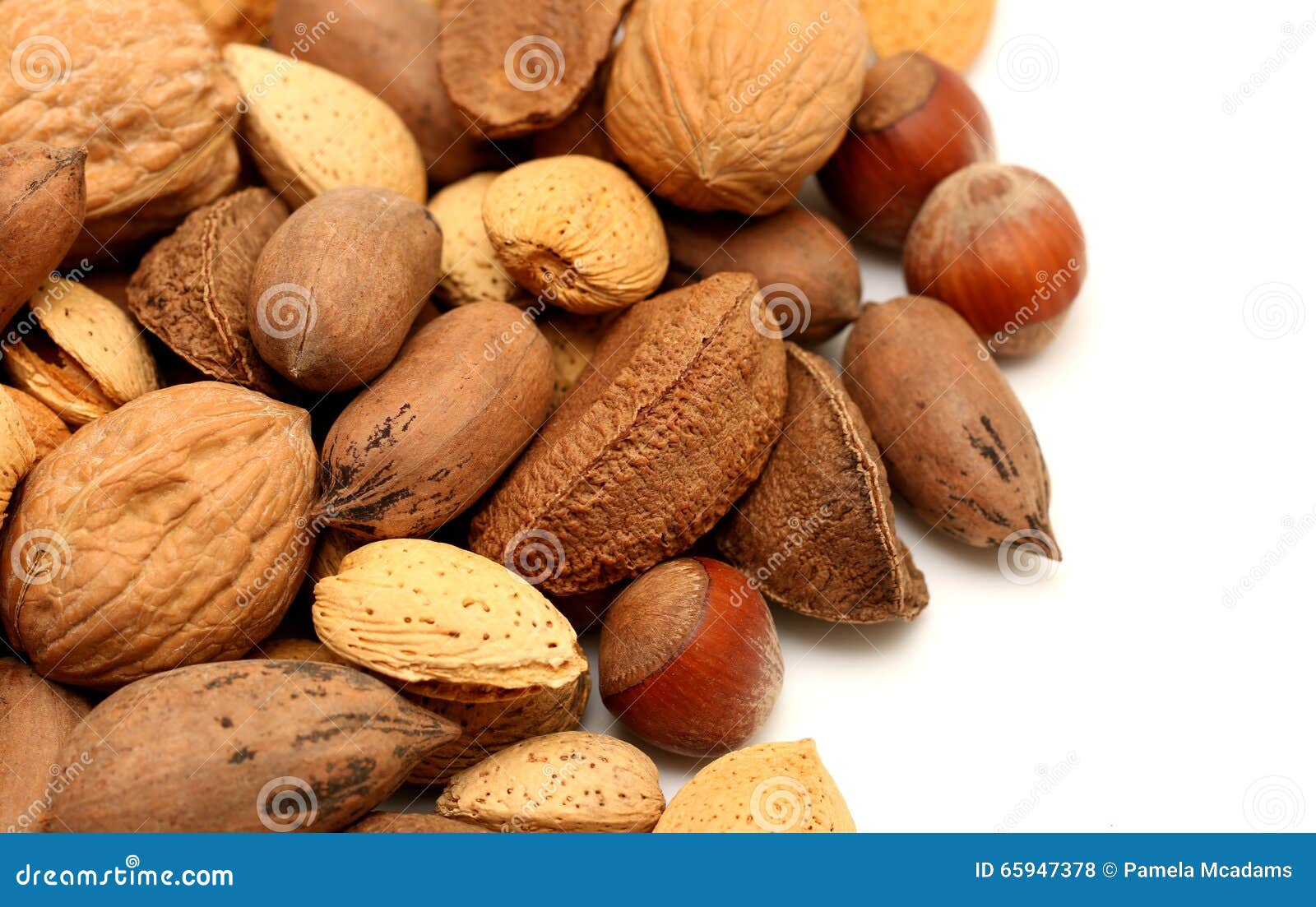 In Shell Nuts stockfoto. Bild von brasilien, bestandteil - 65947378