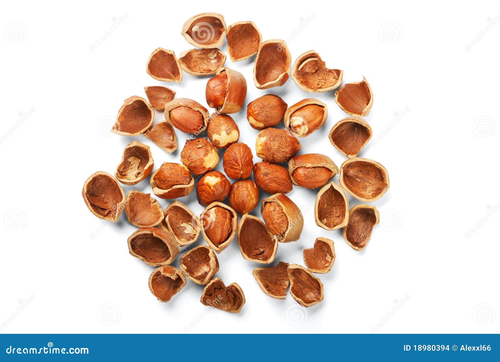 Shell of nuts and nuts stock photo. Image of nutlet, backdrop - 18980394