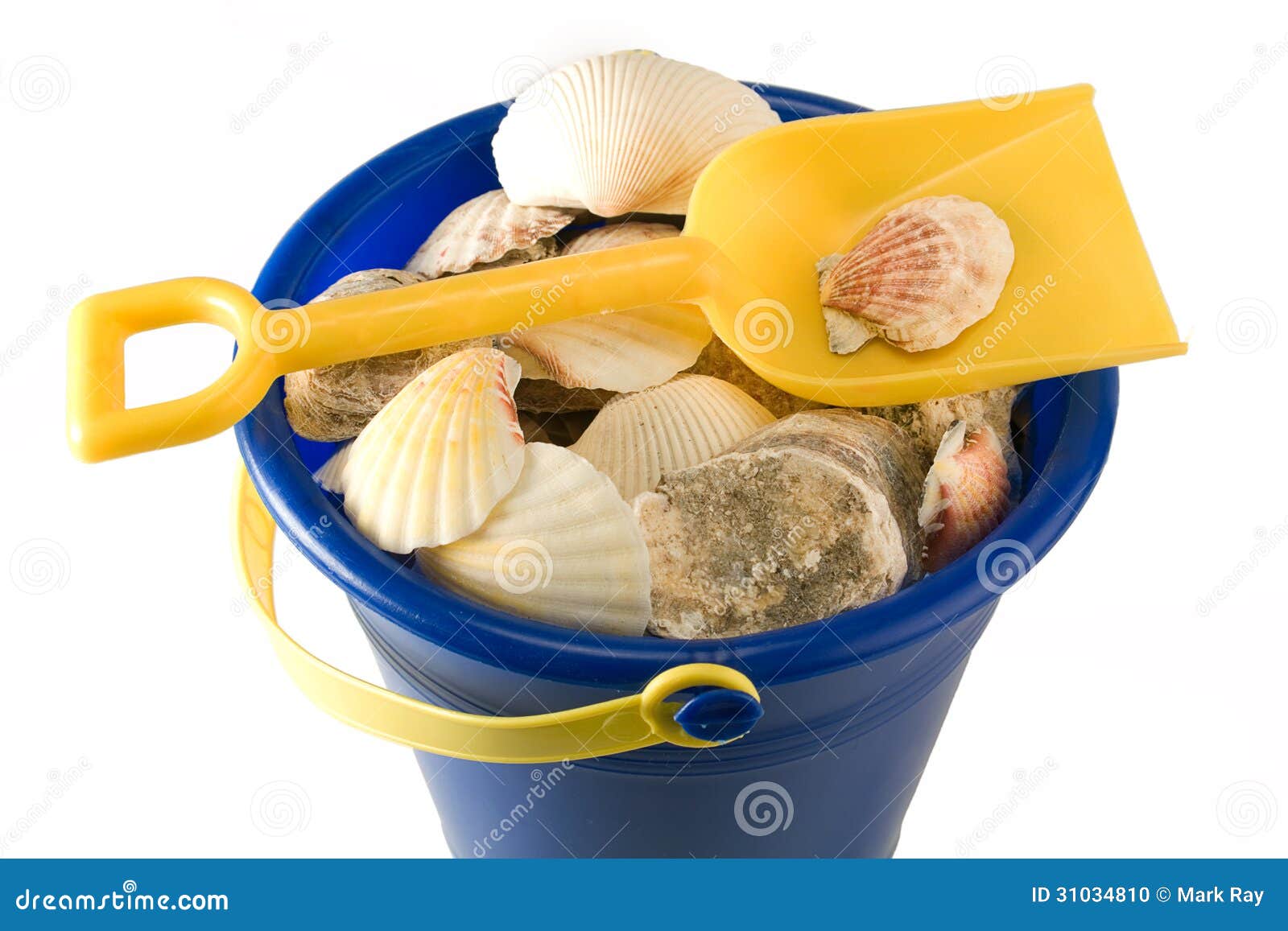 Shell Pail stock photo. Image of travel, seashell, ocean - 31034810