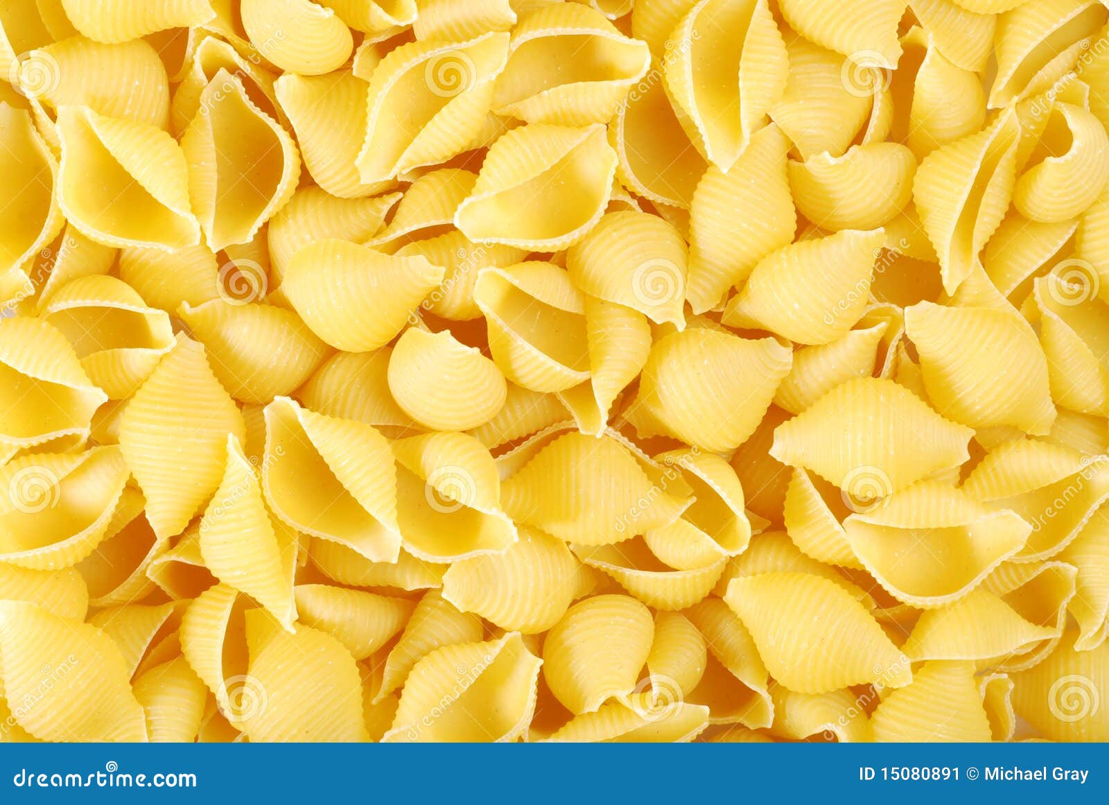 Shell pasta stock image. Image of healthy, pasta, dinner - 15080891