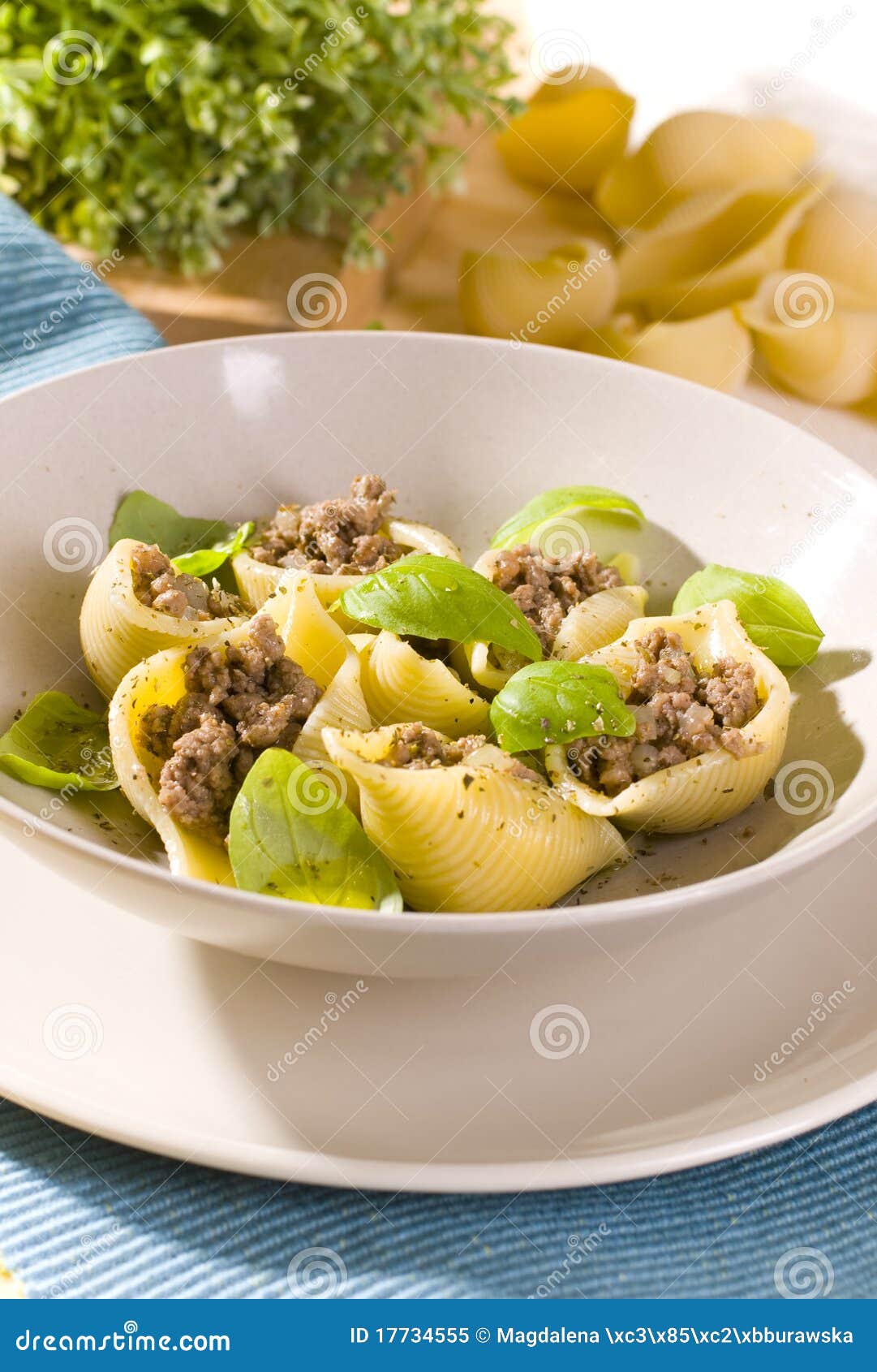 Shell pasta bolognese stock image. Image of food, tasty - 17734555