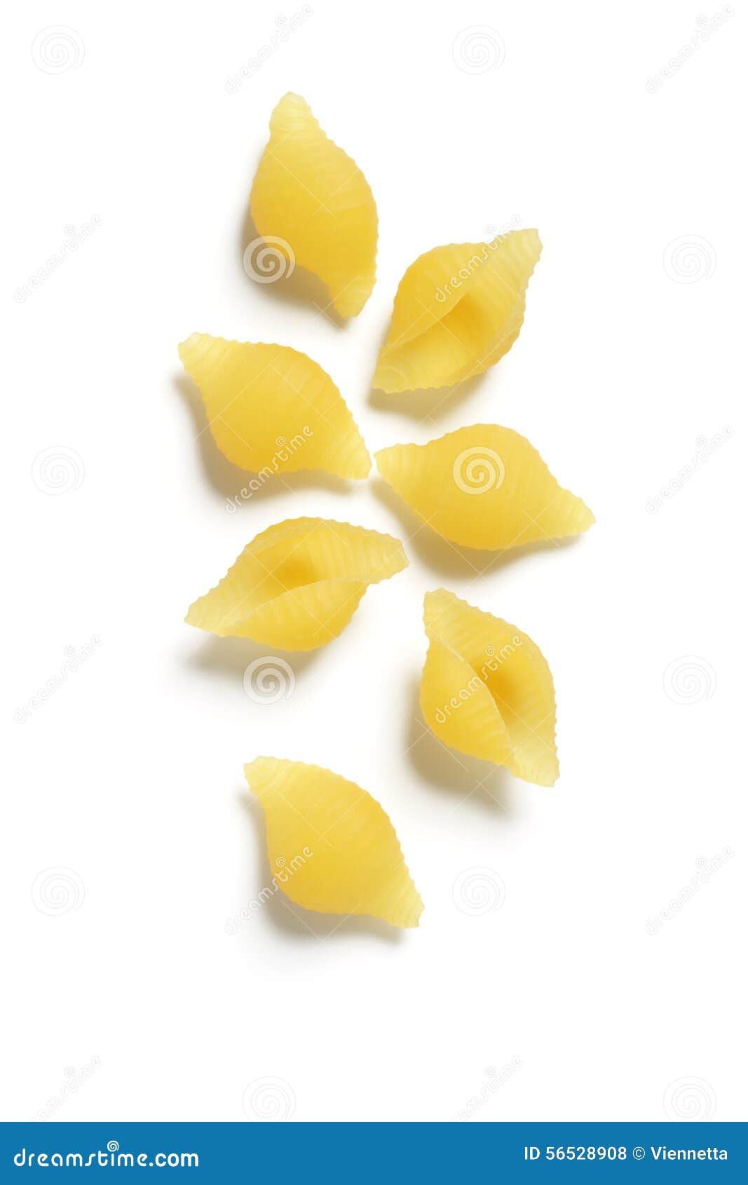 Shell Pasta On A White Background Royalty-Free Stock Photography ...
