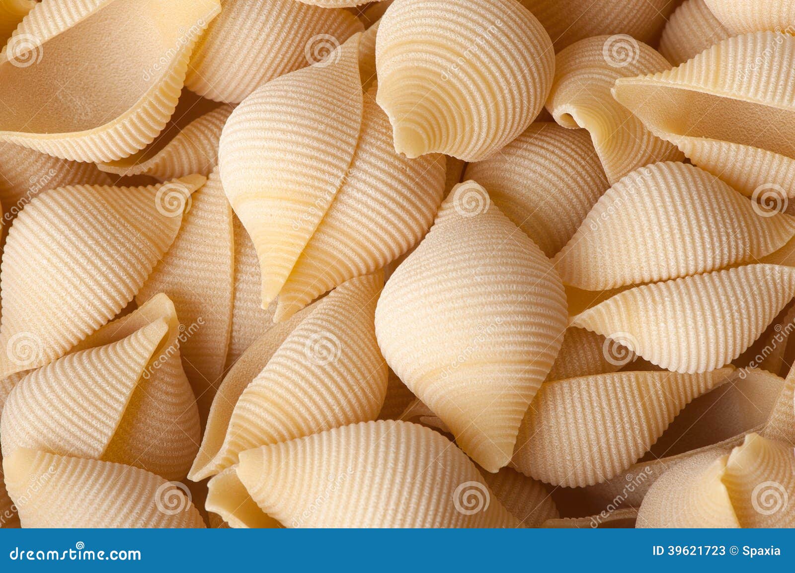 Shell pasta stock image. Image of kitchen, meal, tradition - 39621723