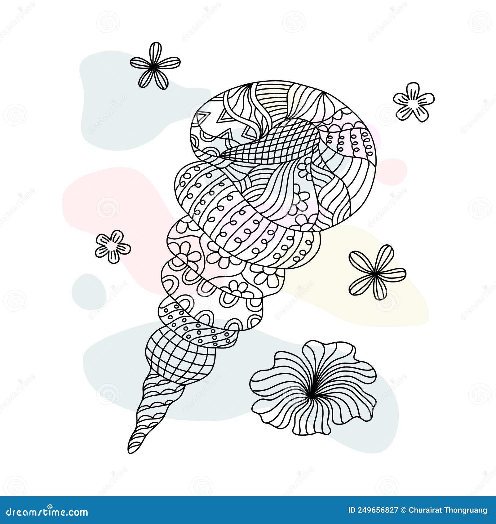 Shell Pattern Collection Vector Designed in Doodle Style Stock Vector ...